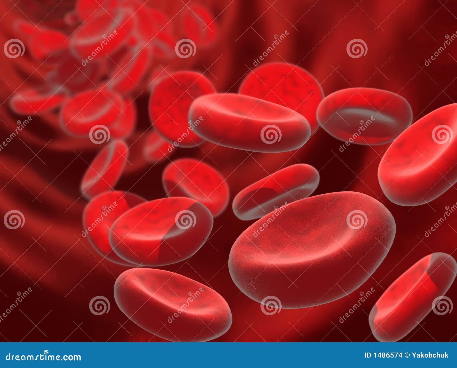 Blood Cells Plasma Infographics Cartoon Vector | CartoonDealer.com ...