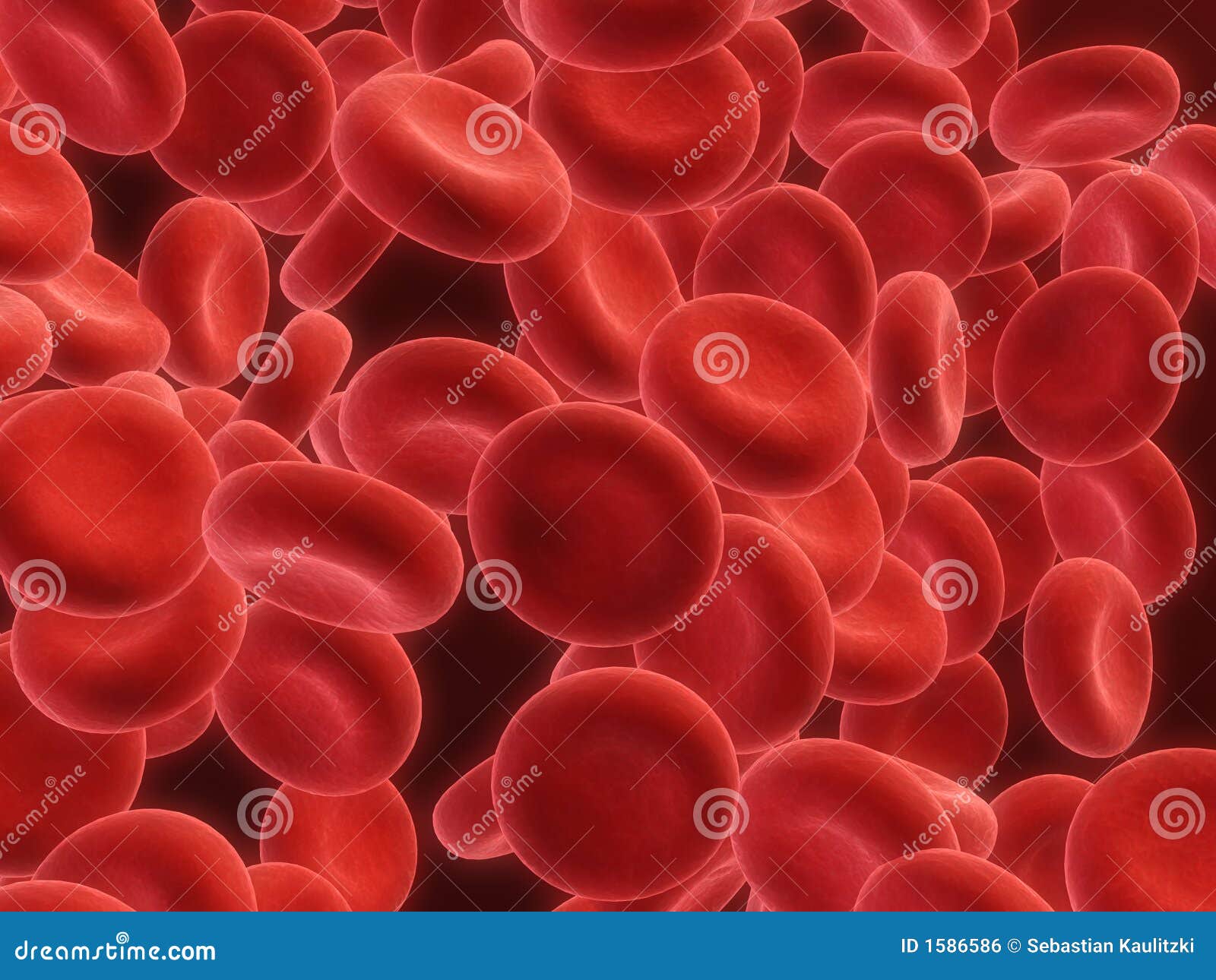 Blood cells stock illustration. Illustration of health - 1586586