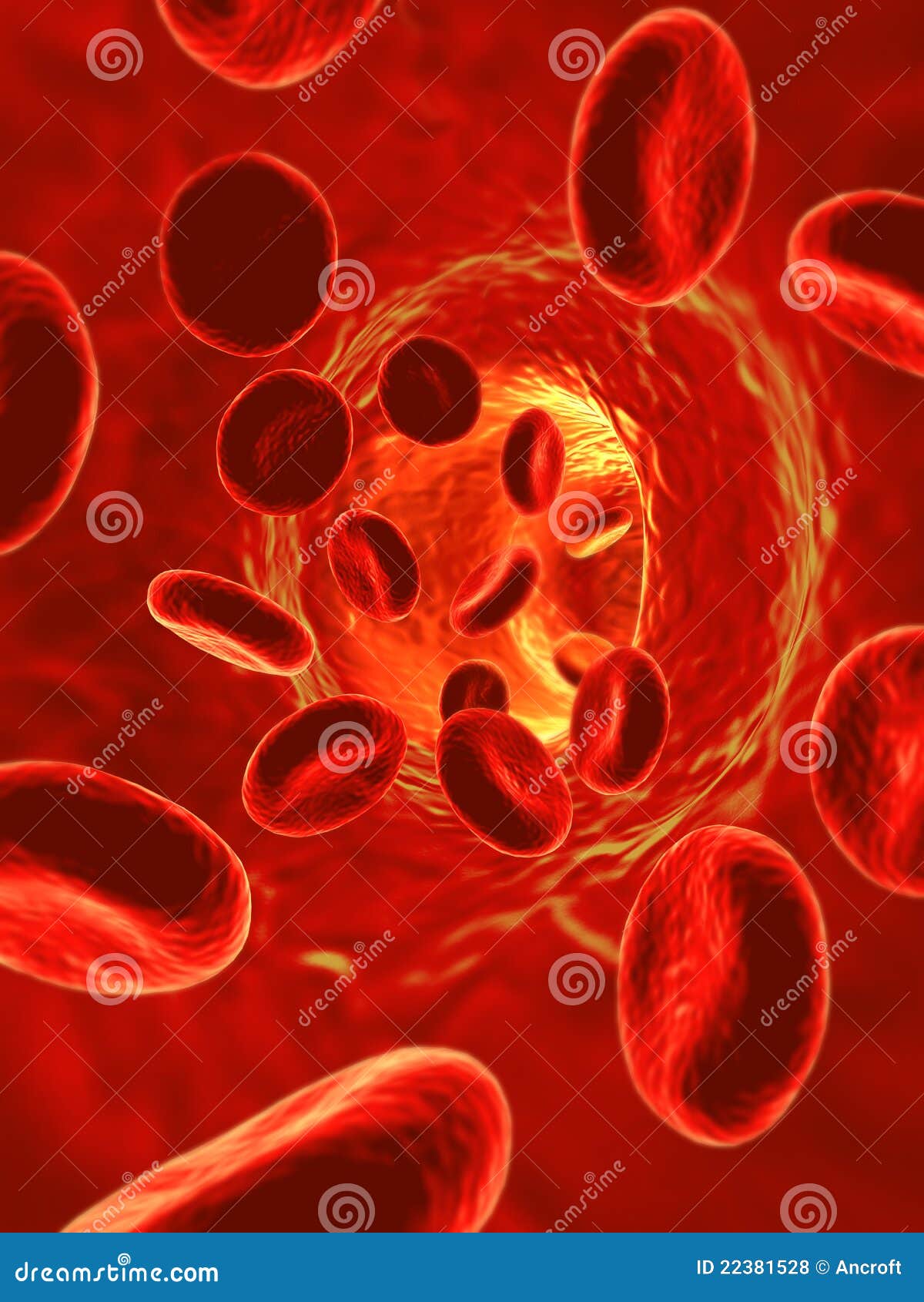 Blood Cells stock illustration. Illustration of objects - 22381528