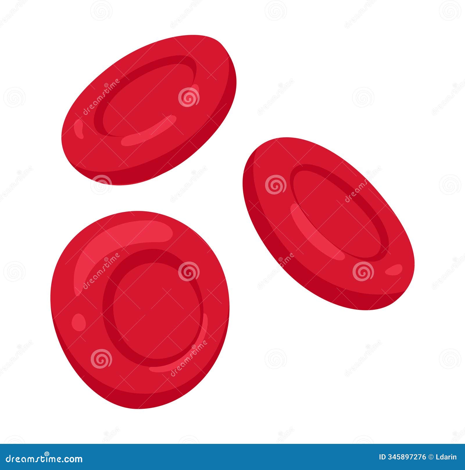 Vector Illustration of Red Blood Cells. Erythrocytes Isolated on White ...