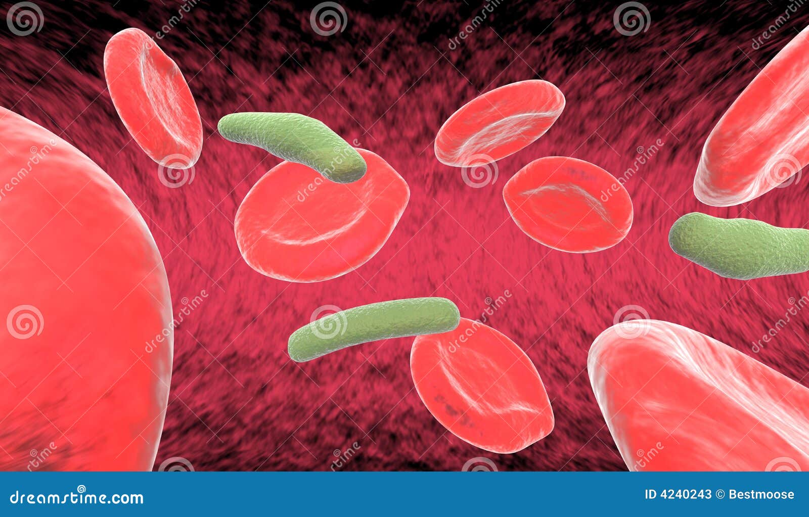 Blood Cells and Bacteria in Artery Stock Illustration - Illustration of ...