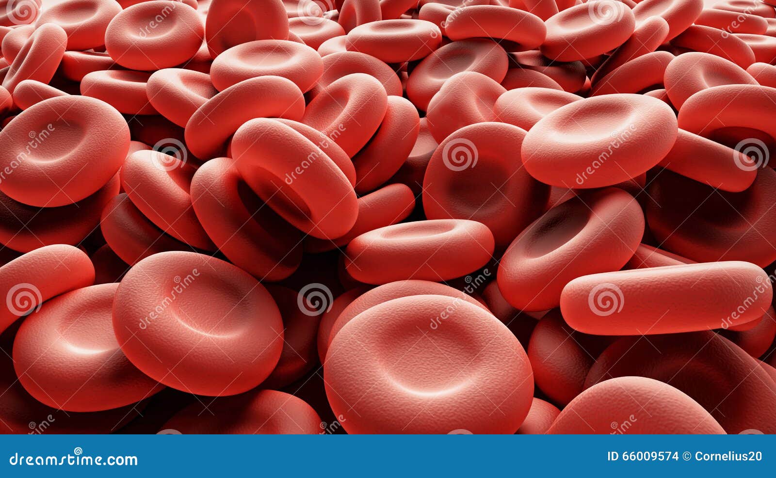 Close-up Of A Coagulated Clot Of Red Blood Cells Entangled In Fibrin 3D ...
