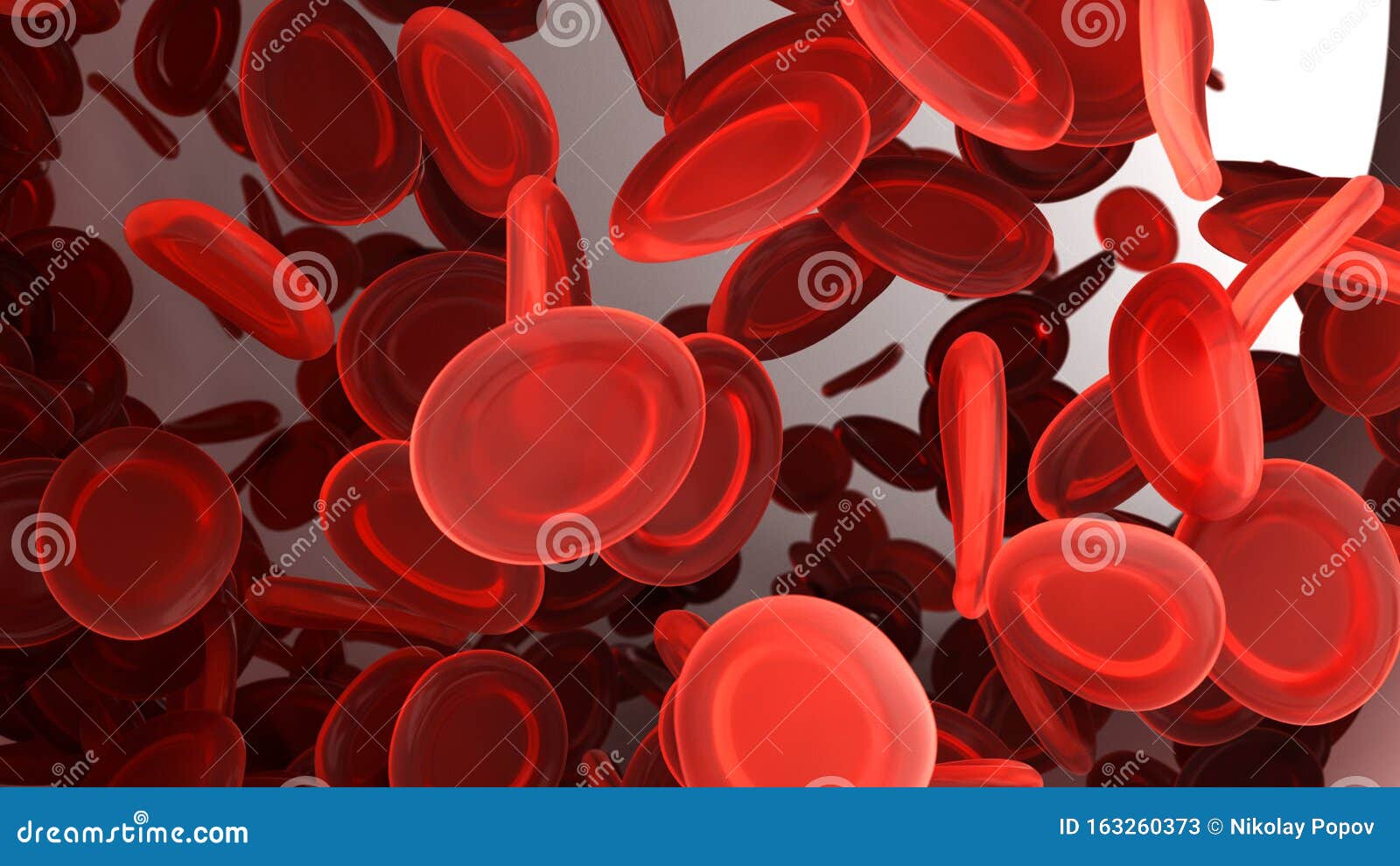 Blood cells close up stock illustration. Illustration of macro - 163260373