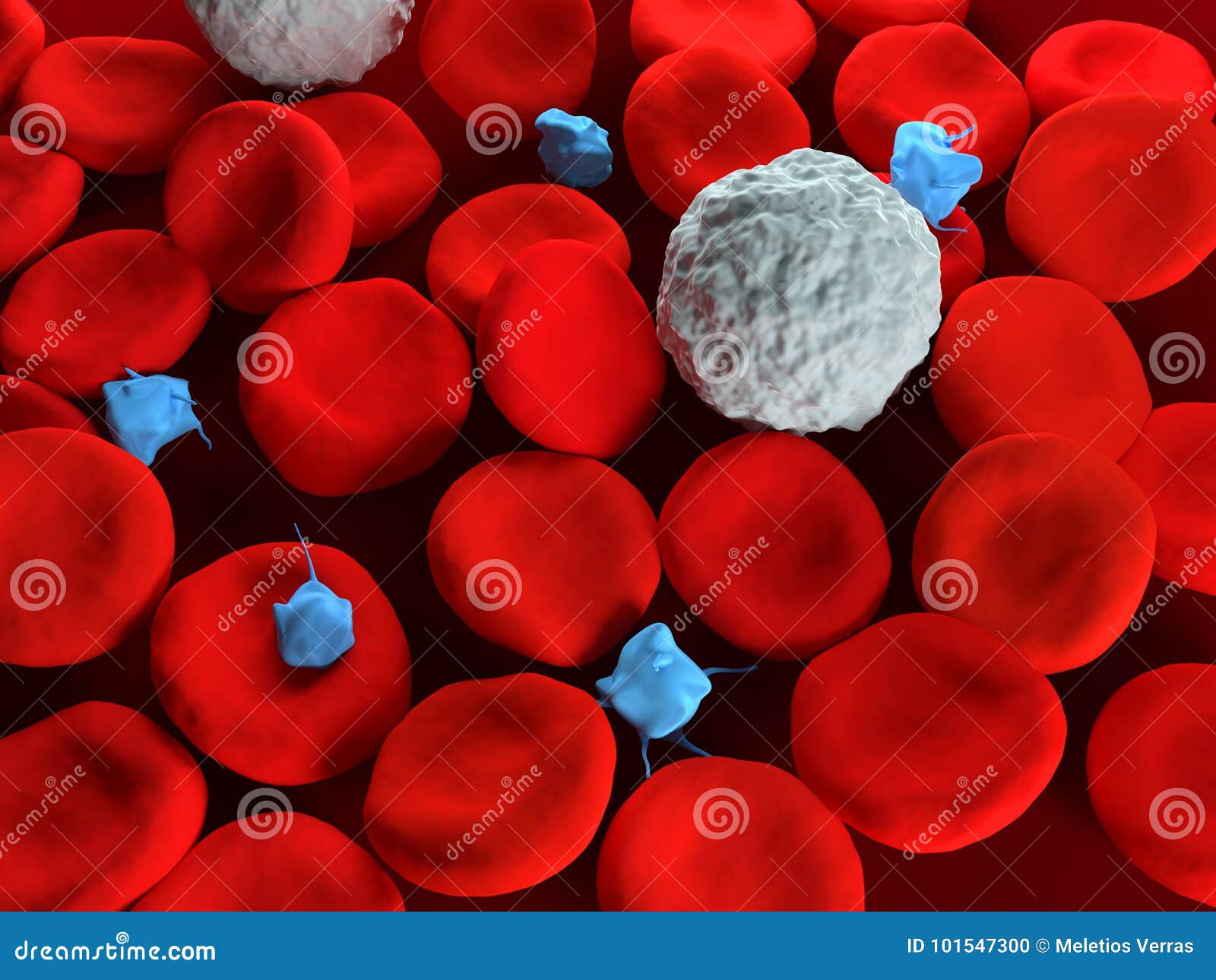 Blood cells stock illustration. Illustration of white - 101547300