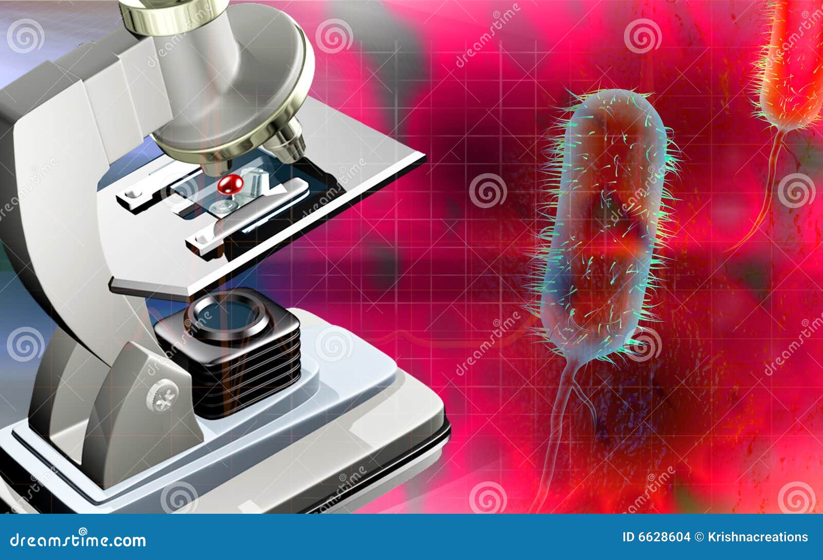 Blood Cells through Microscope Stock Illustration - Illustration of ...