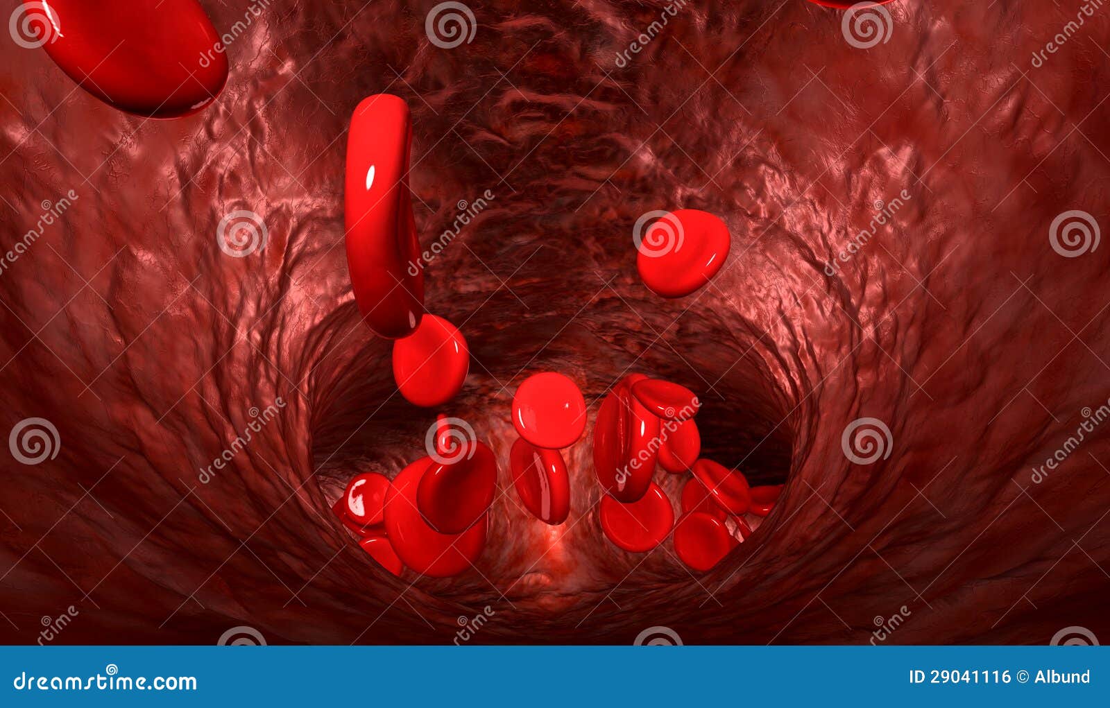 Blood Cells in a Vein stock illustration. Illustration of vessel - 29041116