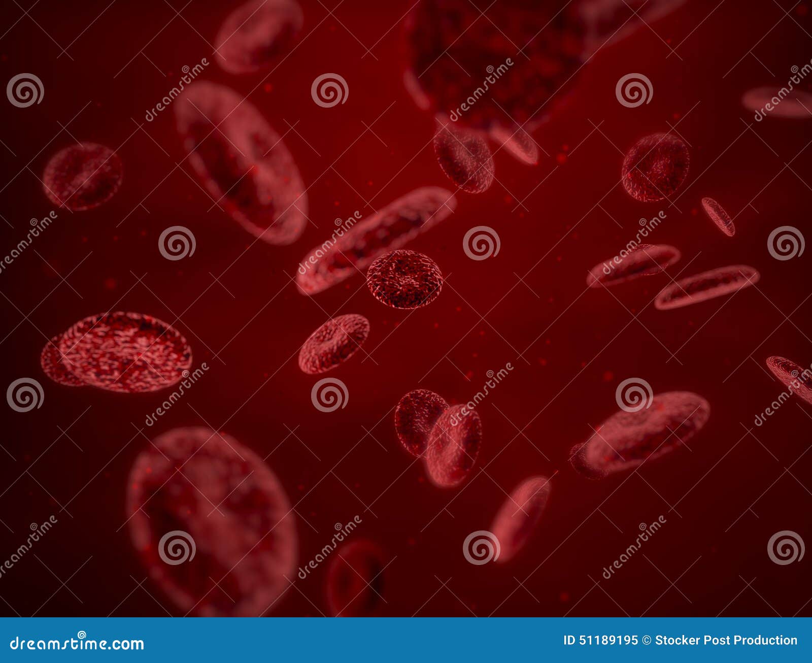 Blood cells in vein stock image. Image of platelet, cell - 51189195
