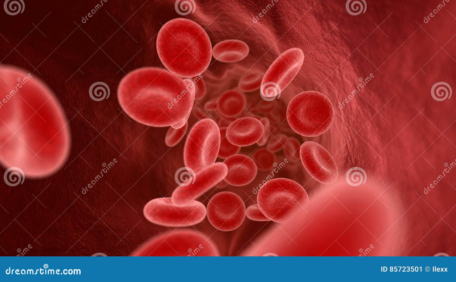 Blood cells in the vein stock illustration. Illustration of science ...