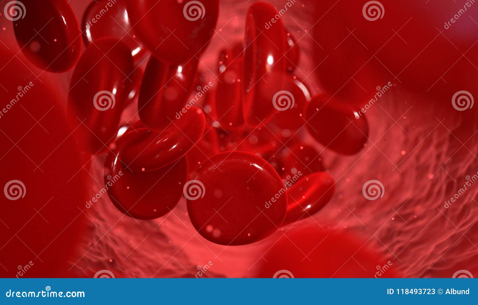 Blood Cells in a Vein stock illustration. Illustration of artery ...