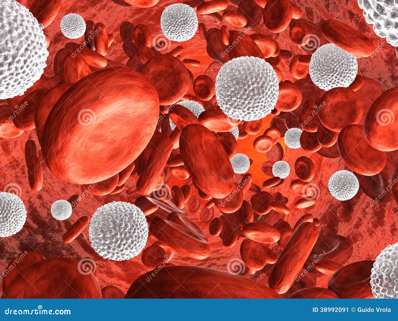 Blood Circulation. Vector Rectangular Frame Stock Image | CartoonDealer ...