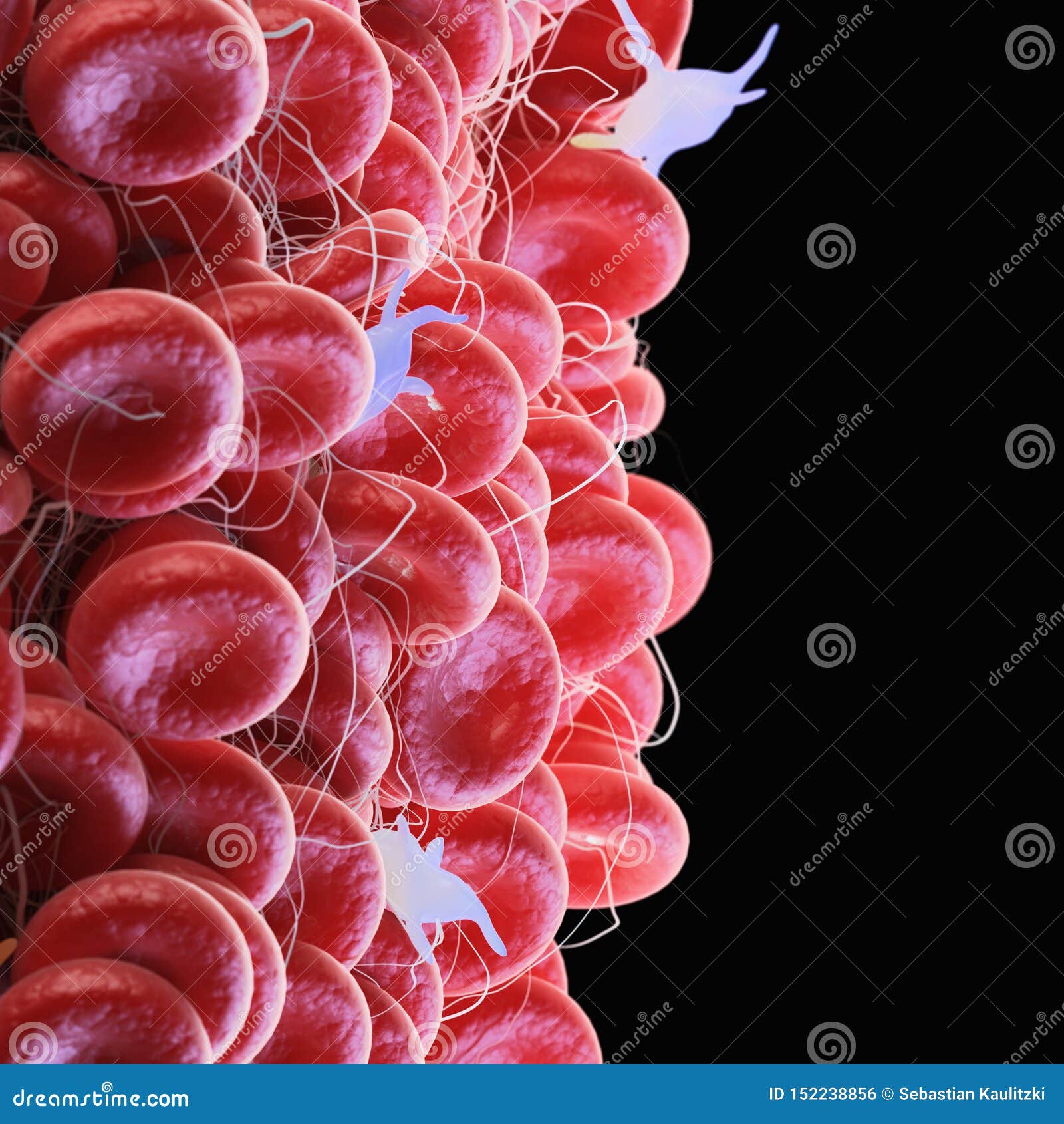 A blood clot stock illustration. Illustration of graphic - 152238856
