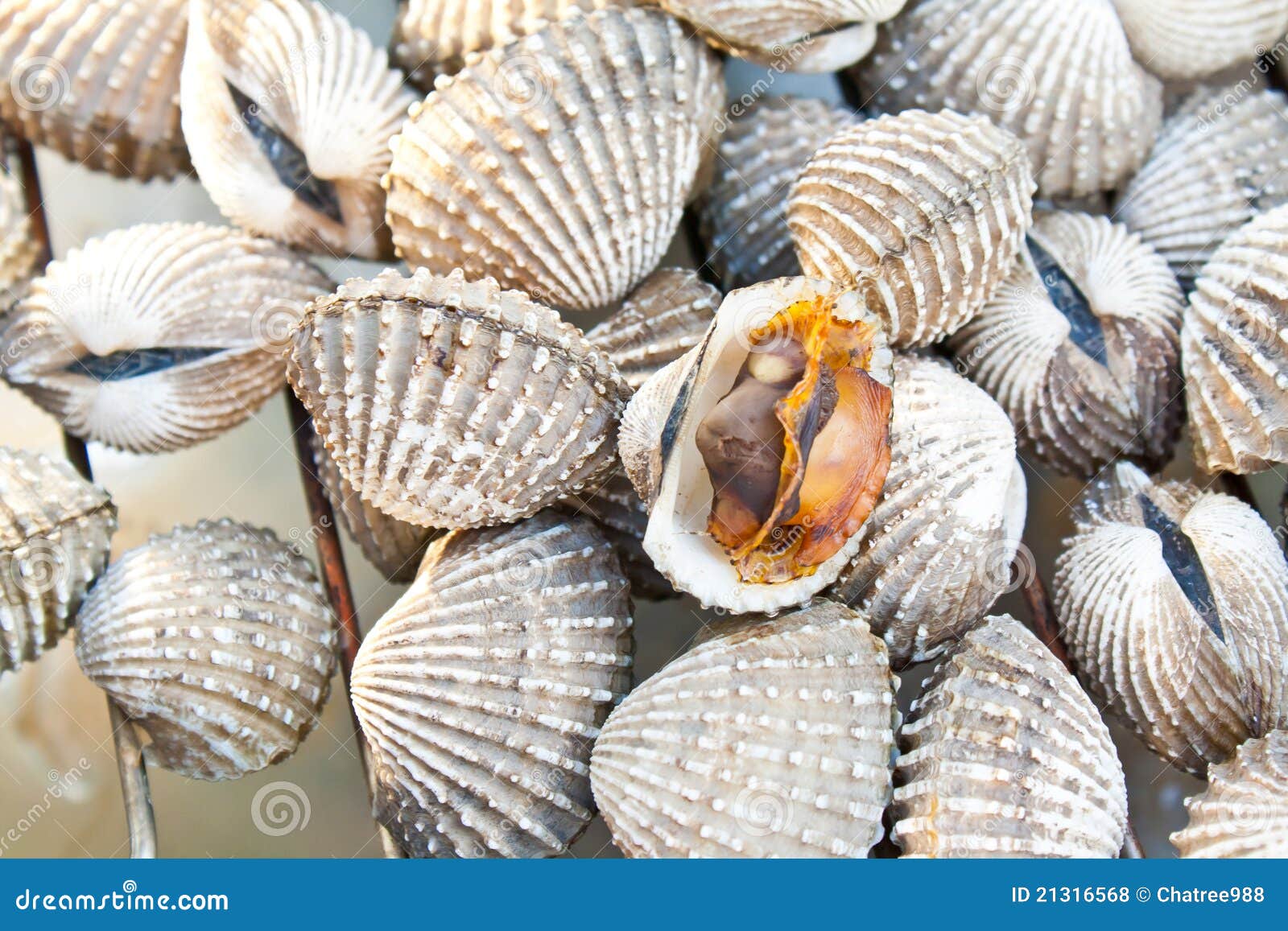Blood cockle stock photo. Image of market, nutrition - 21316568