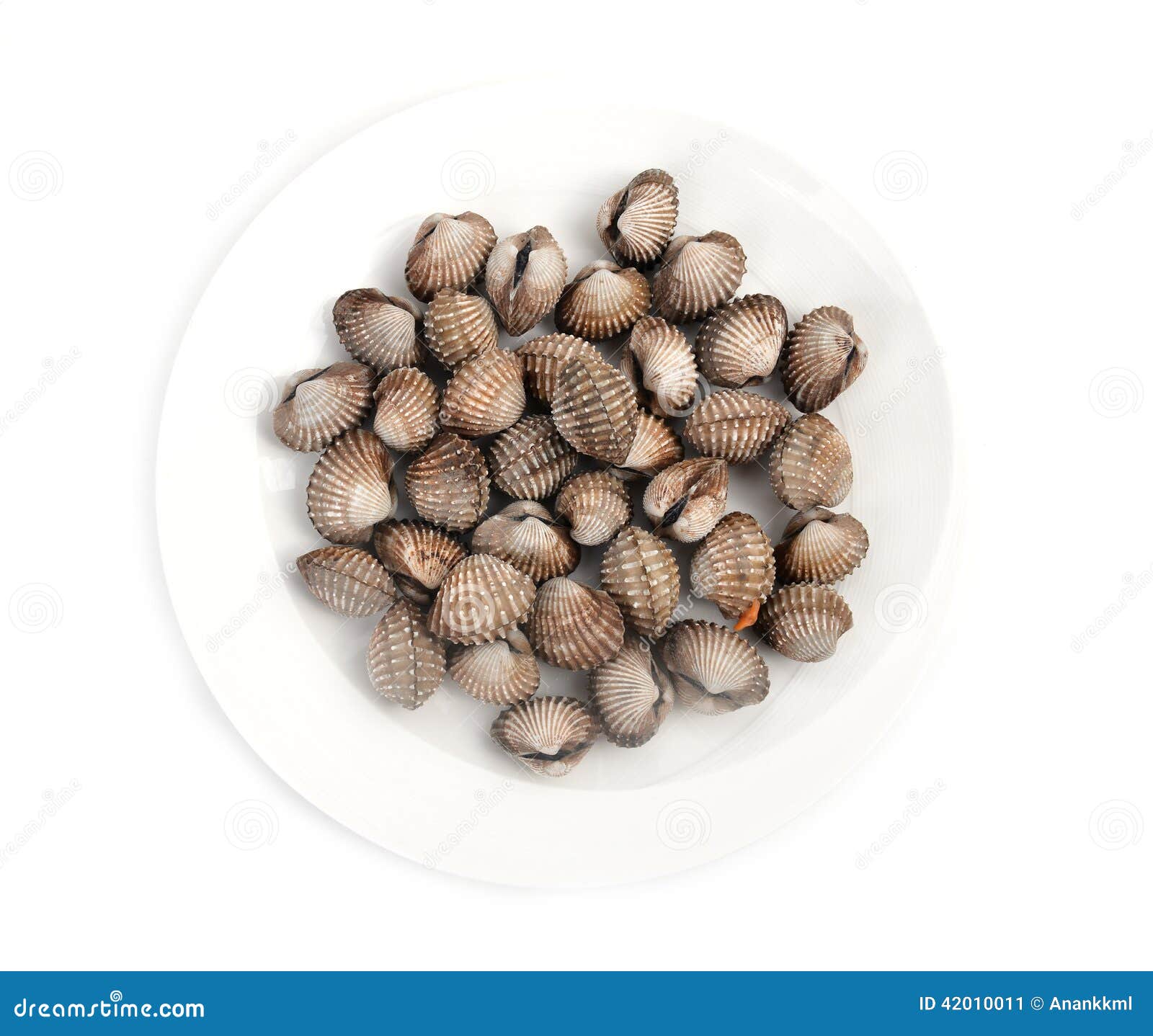 Blood cockle cooked stock image. Image of edible, restaurant - 42010011