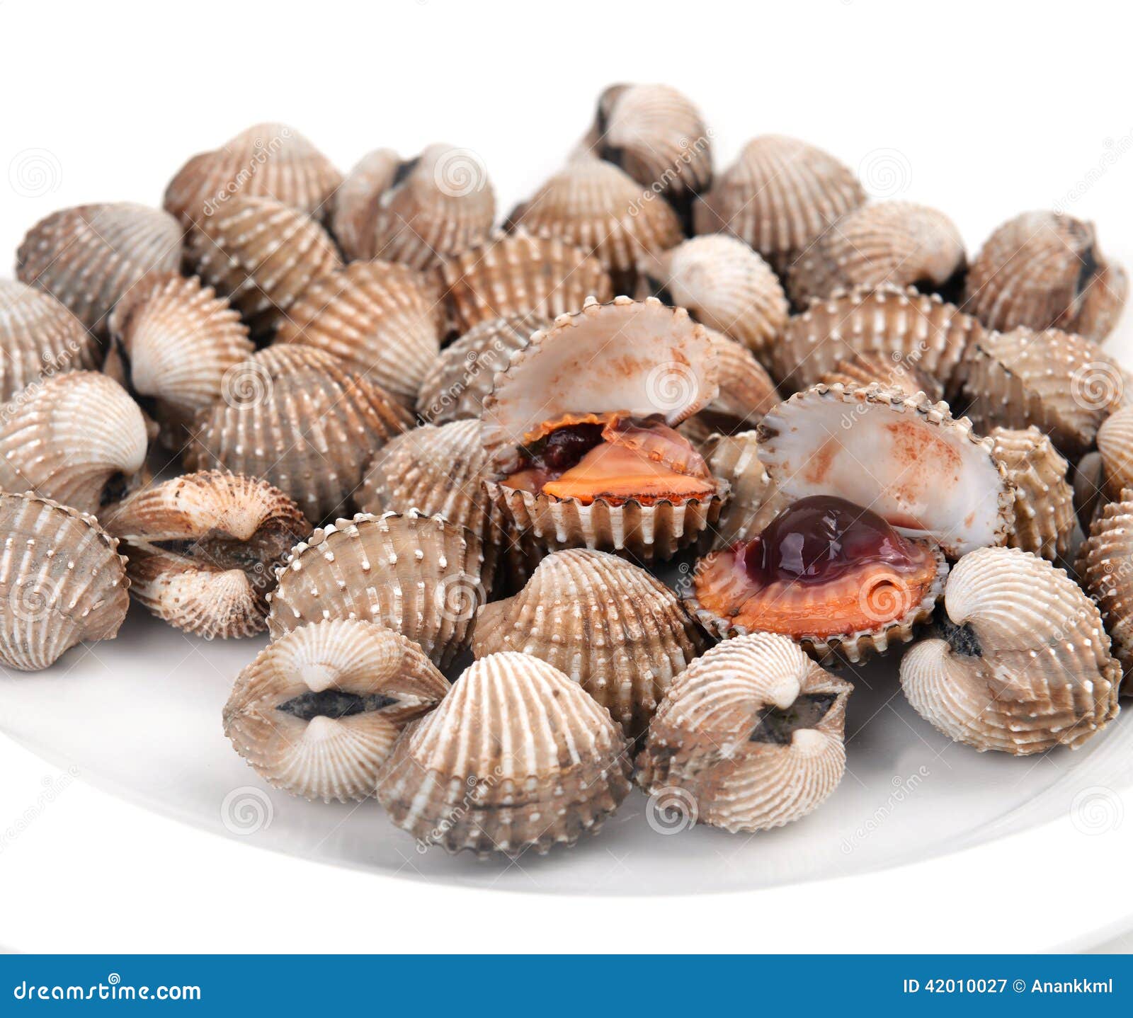 Blood cockle cooked stock image. Image of edible, aquatic - 42010027