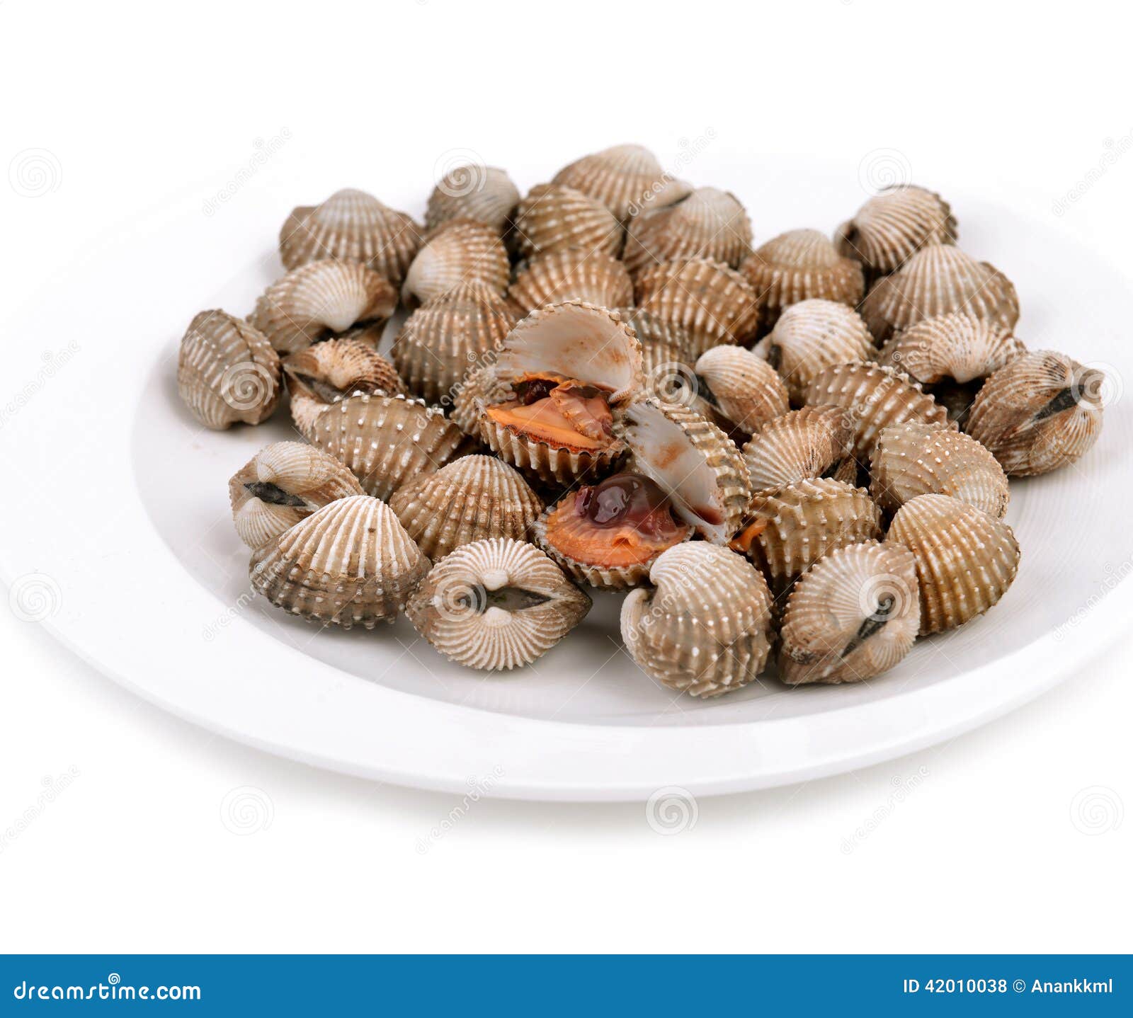 Blood Cockle, Tegillarca Granosa Royalty-Free Stock Image ...