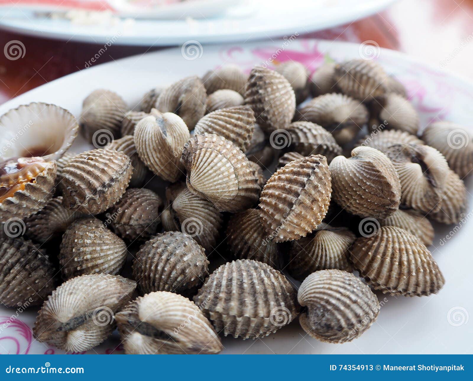 Blood Cockle Shells on Plate Seafood of Thailand Stock Image - Image of ...