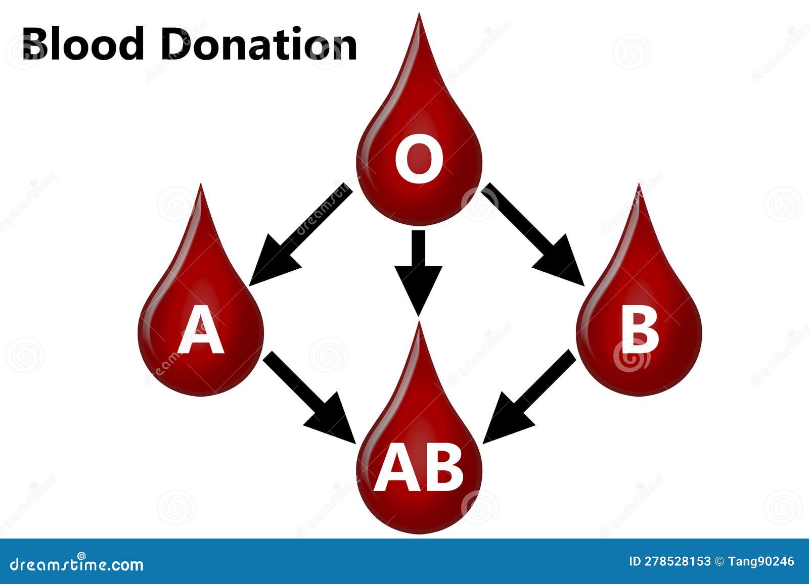 Blood Donation Chart between Different Blood Group Stock Illustration ...