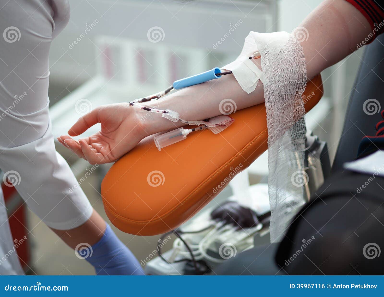 Blood donation stock photo. Image of doctor, health, bandages - 39967116