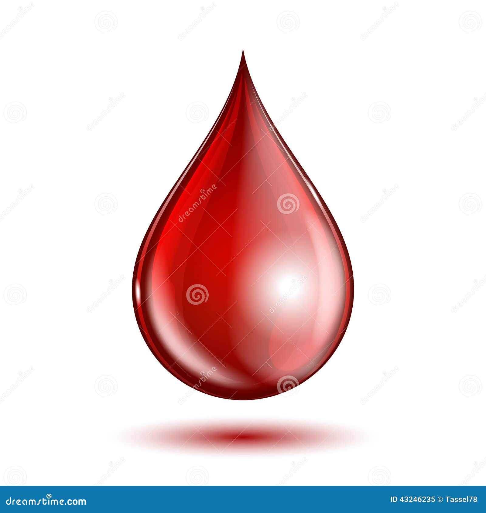 Blood Drop on White Background. Stock Vector - Illustration of clean ...