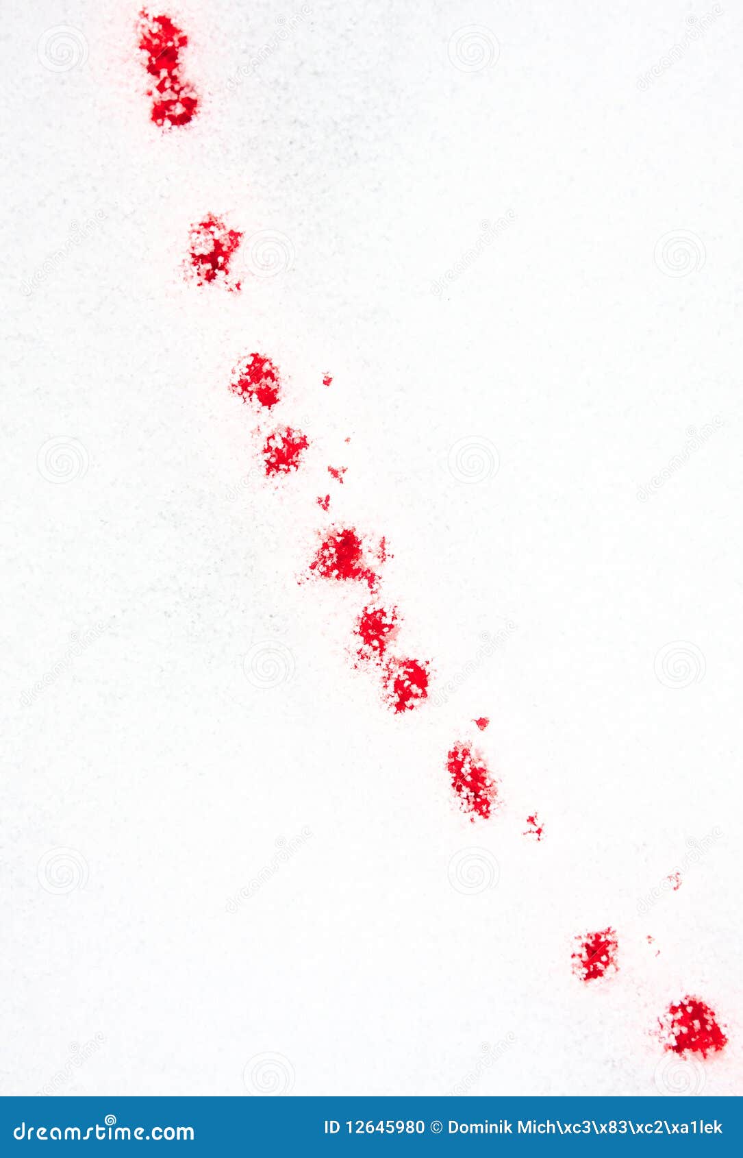 Blood drops in snow stock photo. Image of crystals, drops - 12645980