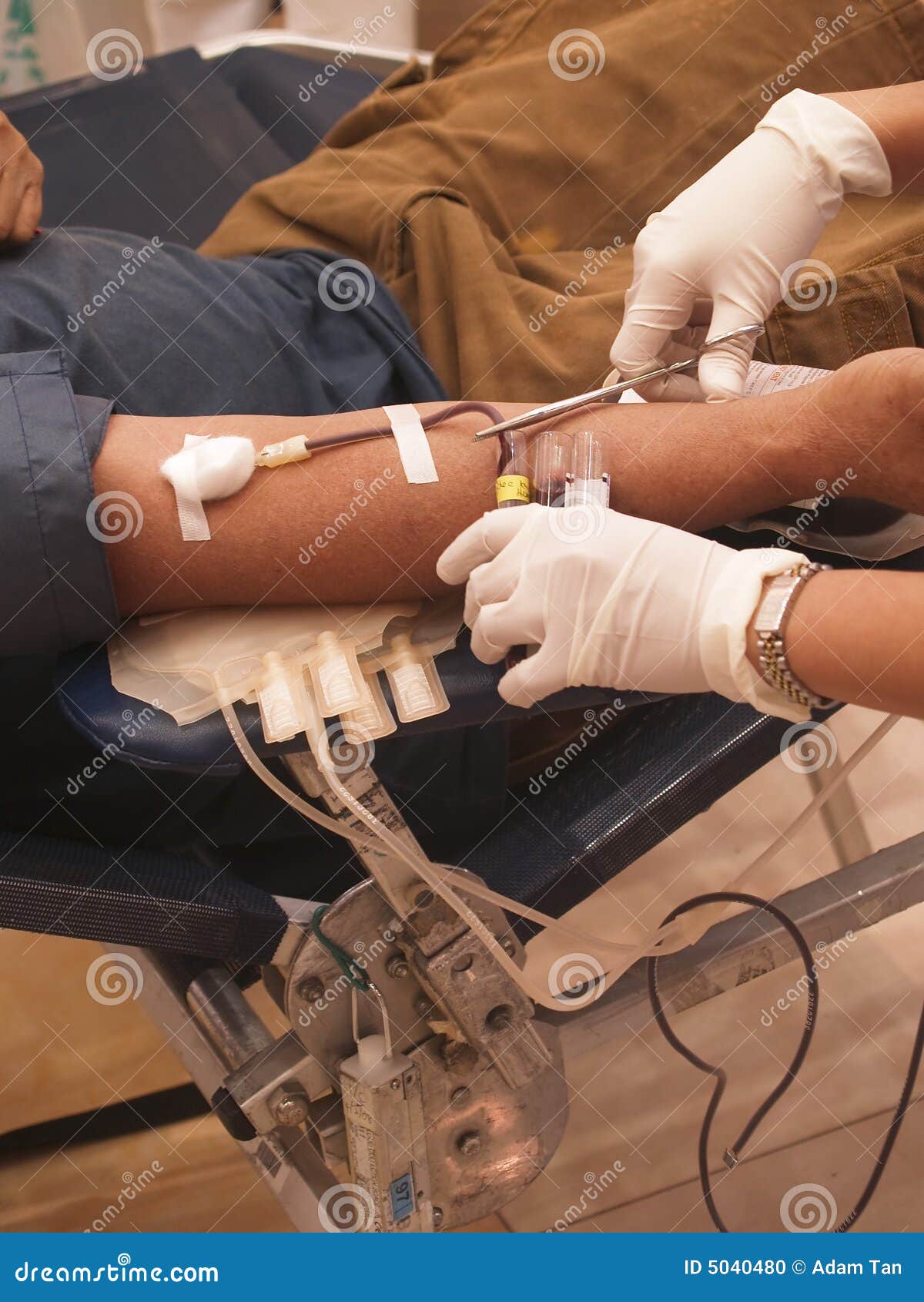 Blood extraction stock photo. Image of anaemia, blood - 5040480