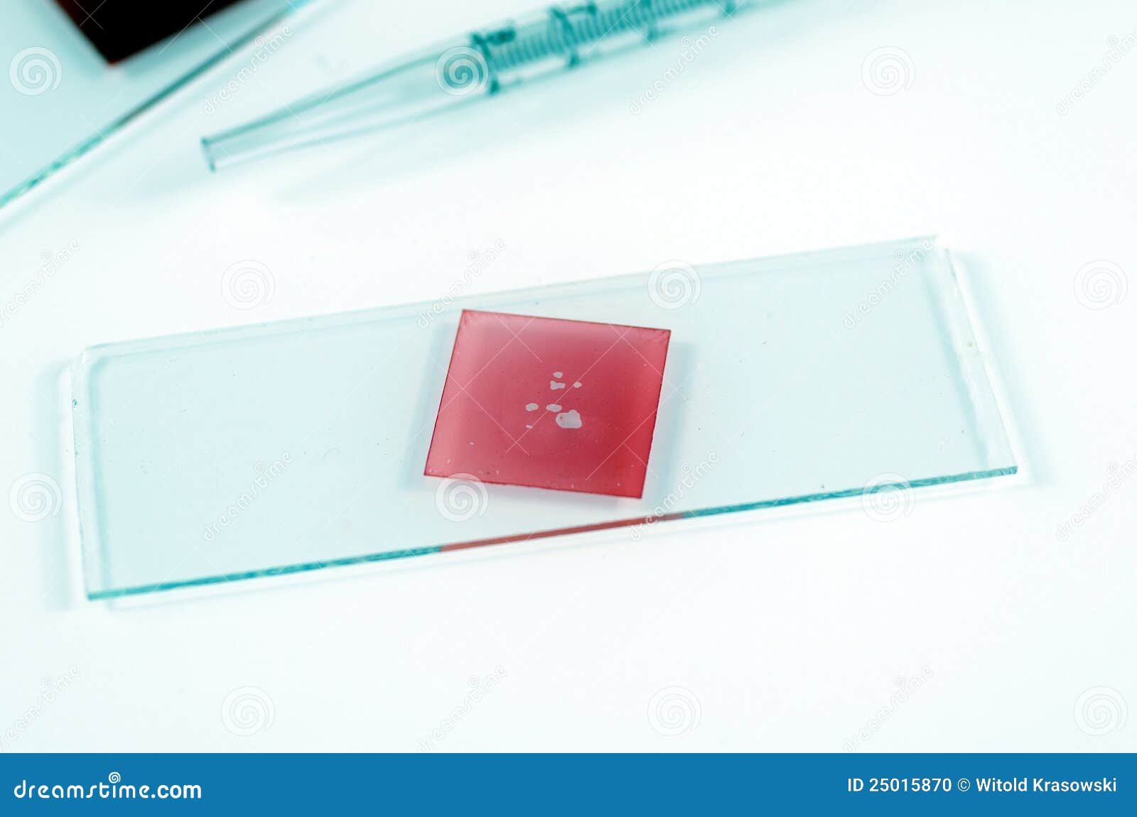 Blood on glass stock photo. Image of biology, biochemistry - 25015870