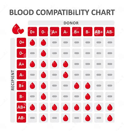Blood Group Compatibility Table Stock Vector - Illustration of medical ...
