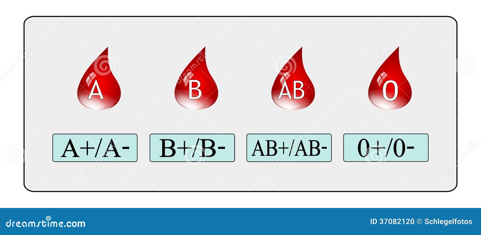 ABO Blood Group Labeled Diagram Cartoon Vector | CartoonDealer.com ...