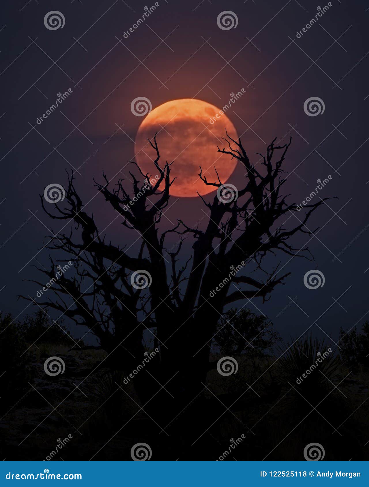 Blood Moon with Dead Tree stock photo. Image of lightning - 122525118