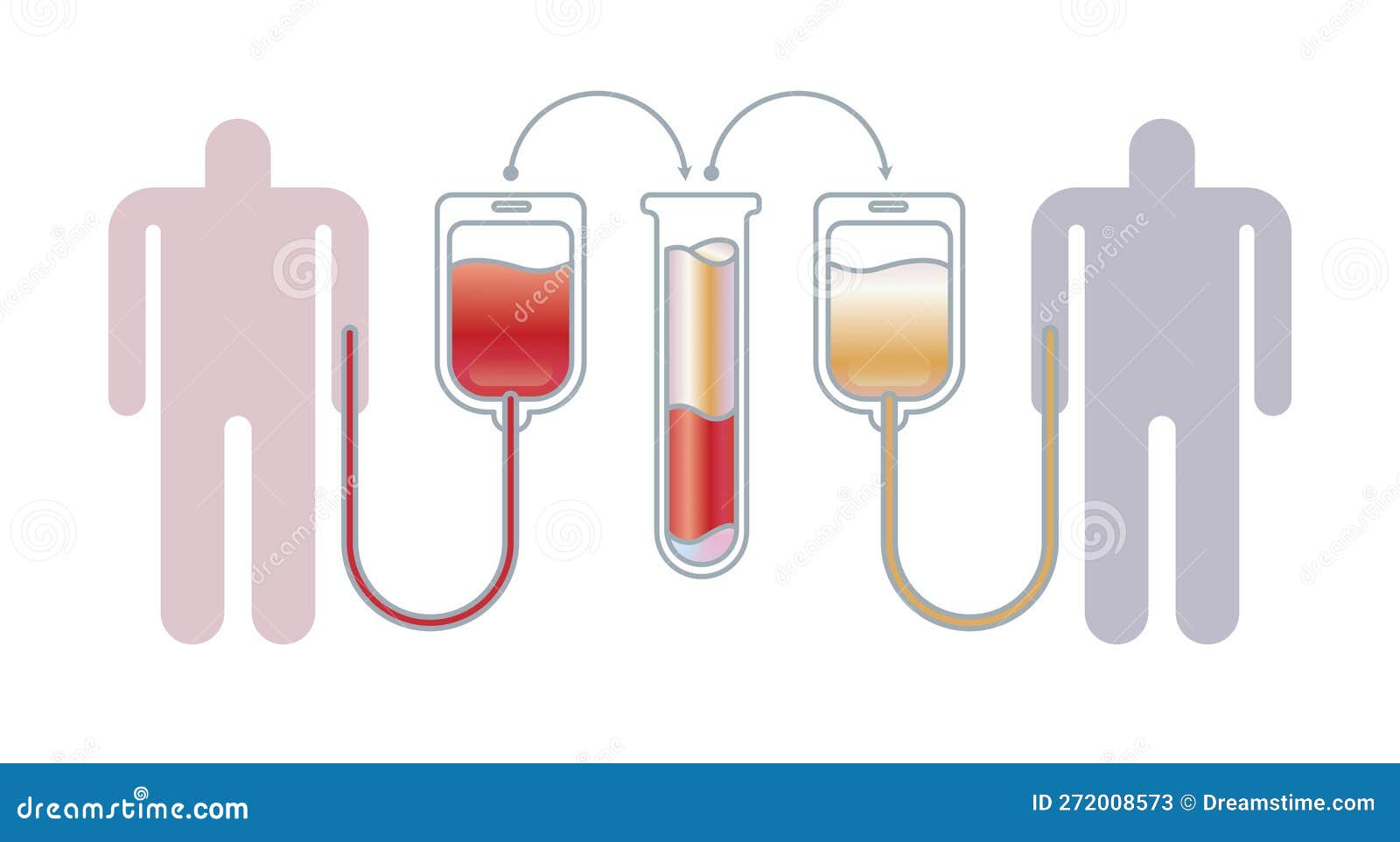 Blood and Plasma Donor Vector Illustration Stock Illustration ...