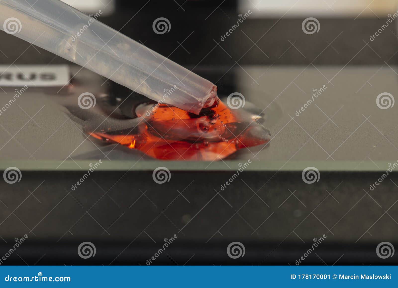 Blood Sample Placed on a Microscope Slide Stock Image - Image of ...