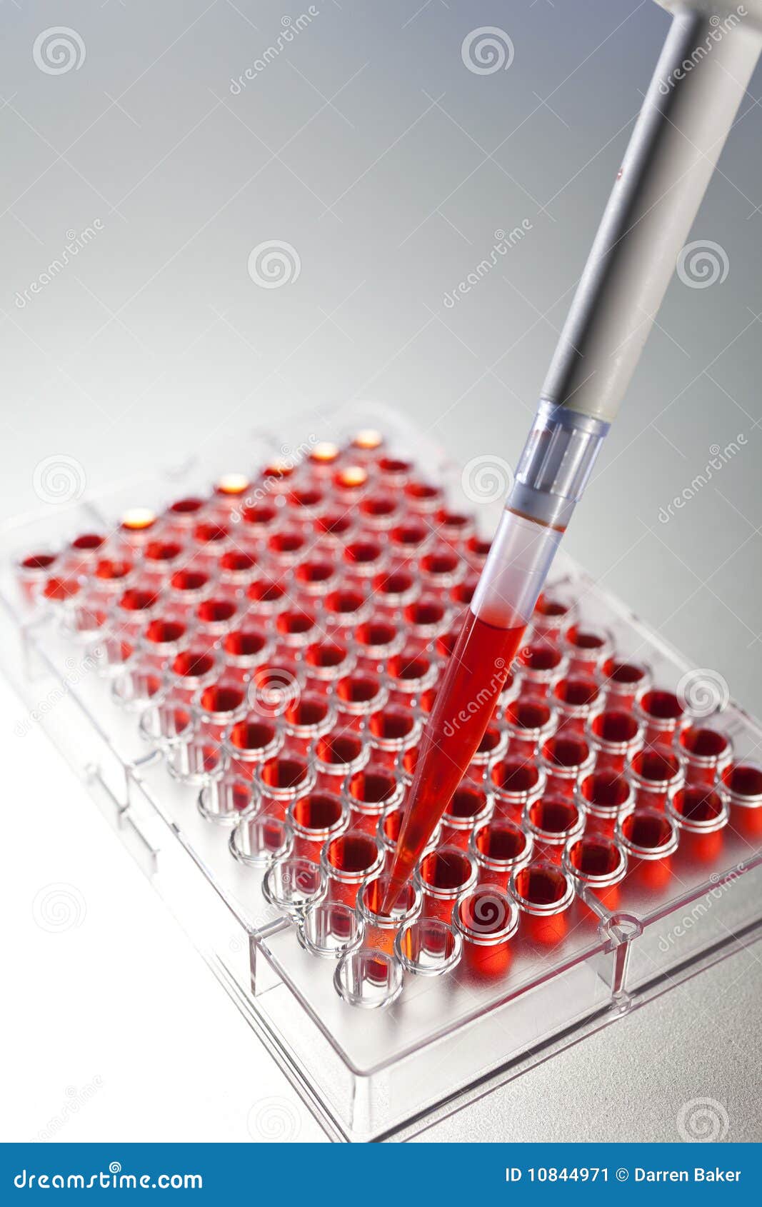 Blood Sample Research Pipette and Cell Plate Stock Image - Image of ...