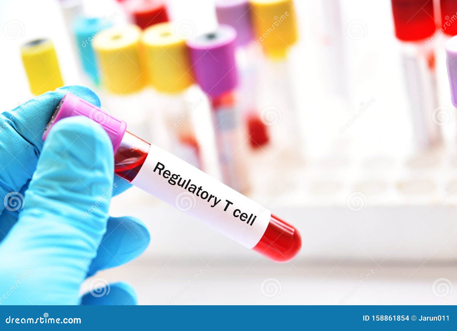 Blood Sample for Regulatory T Cells Test Stock Photo - Image of ... Blood Sample for Regulatory T Cells Test Stock Photo - Image of ...