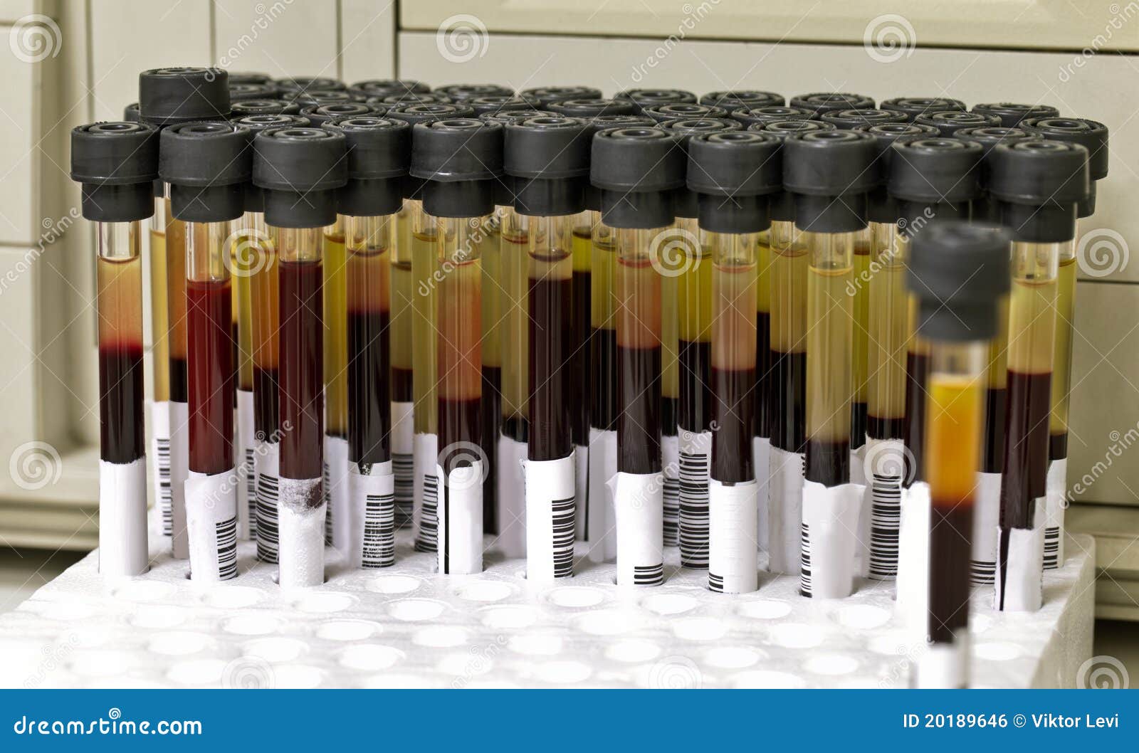 Blood samples tubes stock photo. Image of label, medical - 20189646