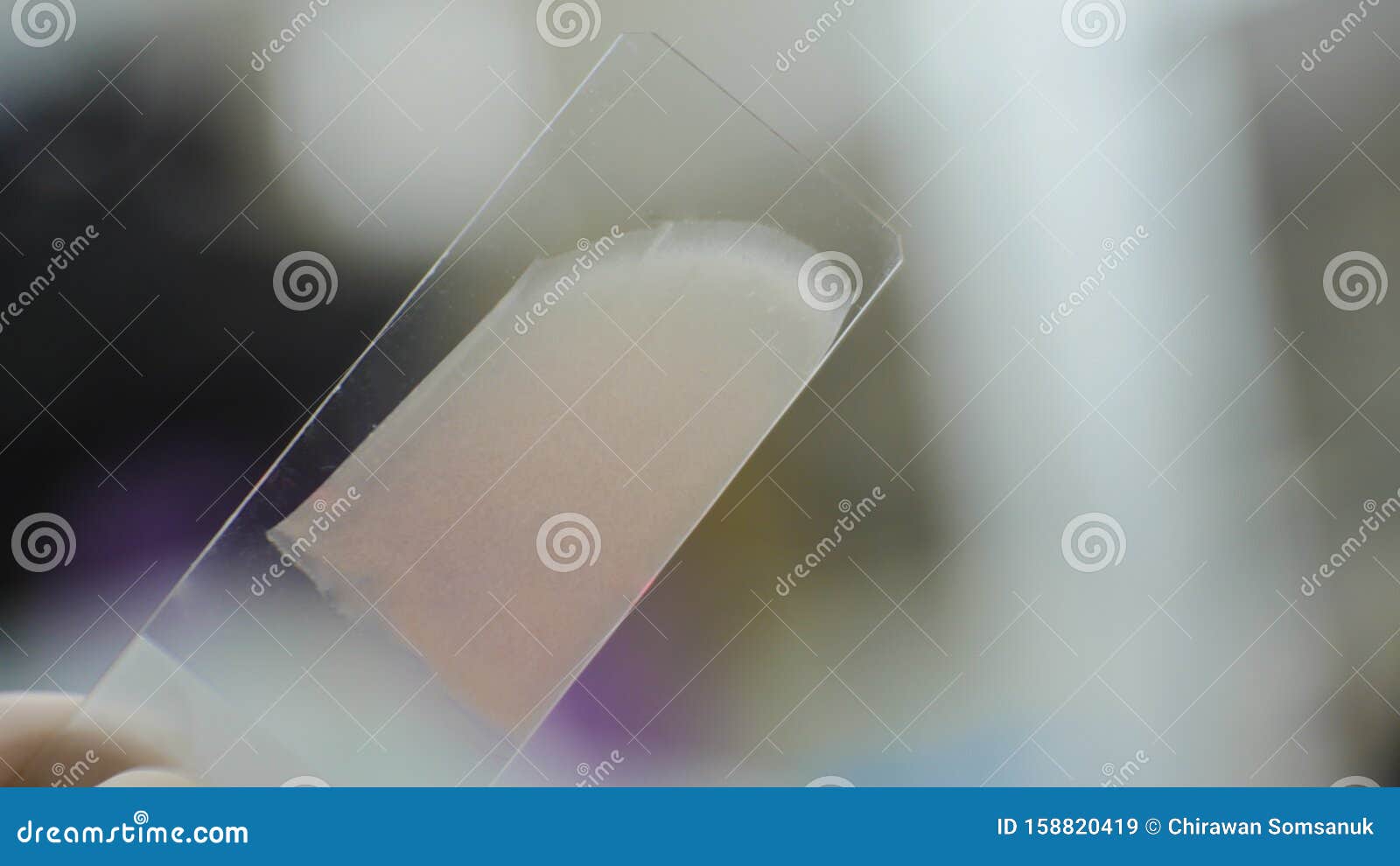 Person Blood Smear Stock Photos - Free & Royalty-Free Stock Photos from ...