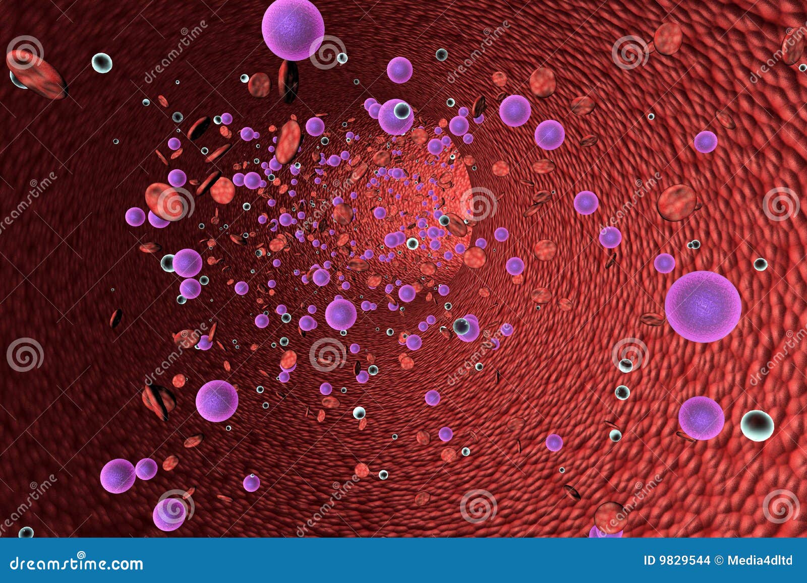 Blood Stream stock illustration. Illustration of cells - 9829544