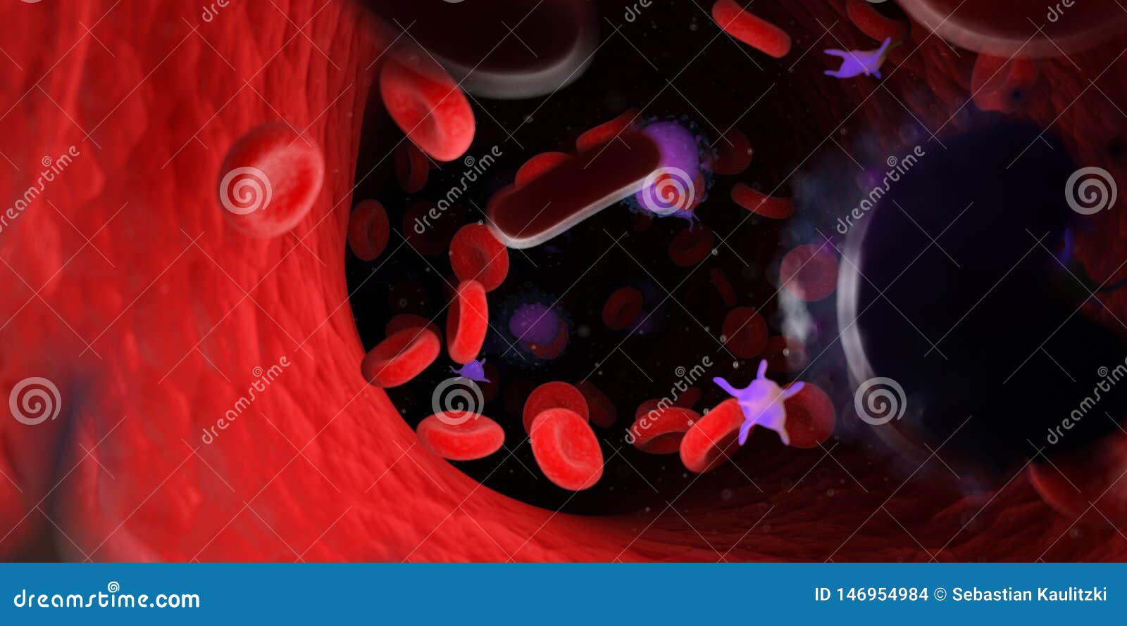 The blood stream stock illustration. Illustration of lymphocyte - 146954984