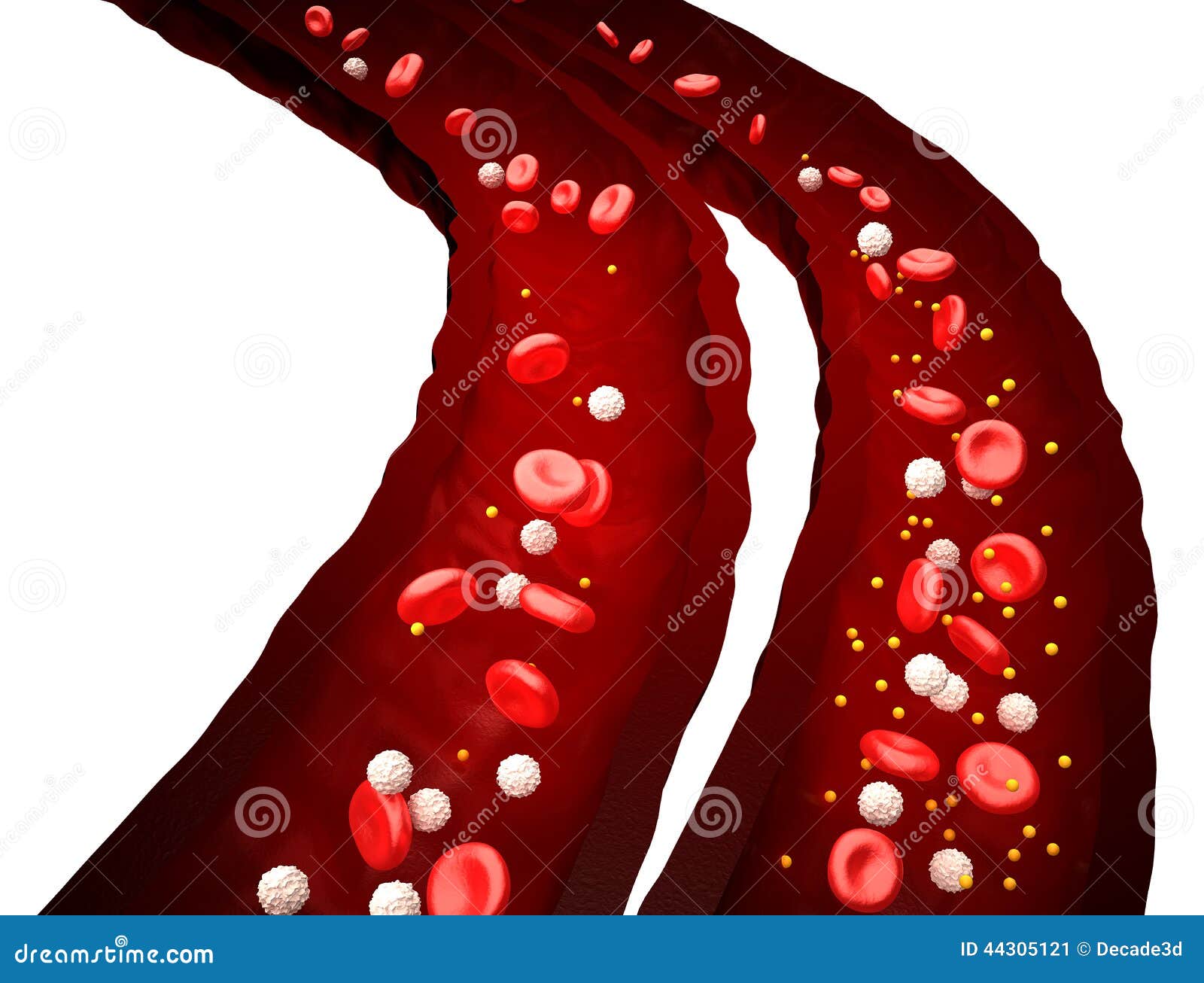 Blood Stream - Normal Vs Diabetes - Isolated on White Stock ...