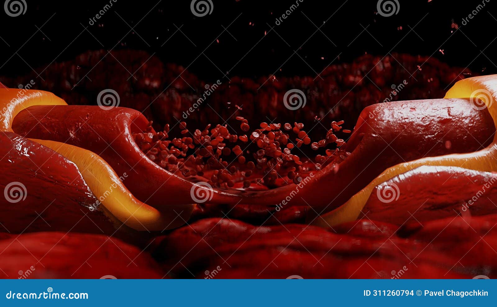 Blood Stream. Red Blood Cells. Inside Human Body. 3d Rendering. Stock ...
