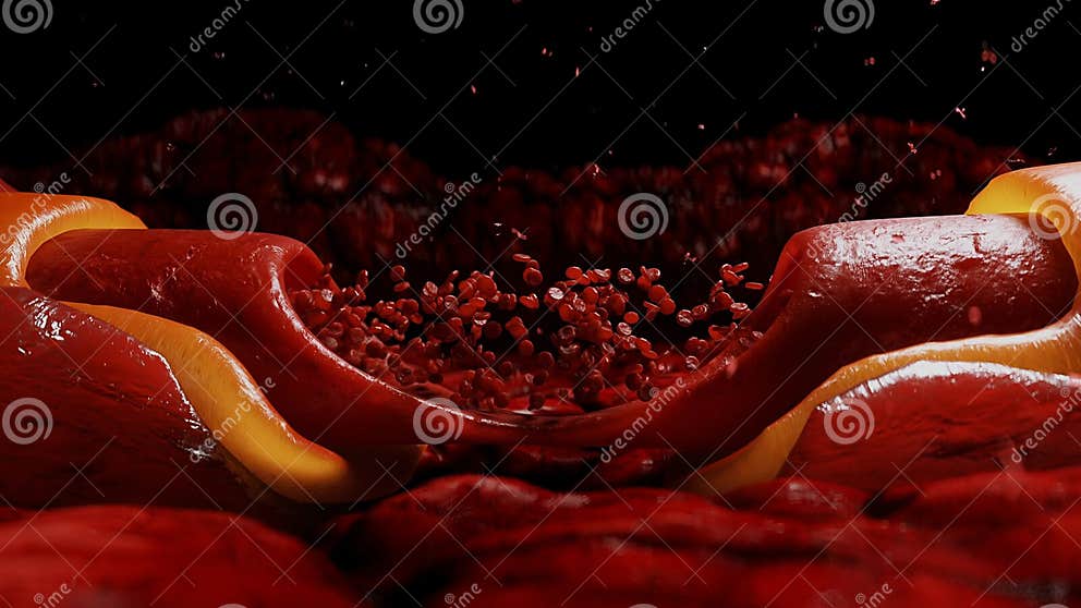 Blood Stream. Red Blood Cells. Inside Human Body. 3d Rendering. Stock ...
