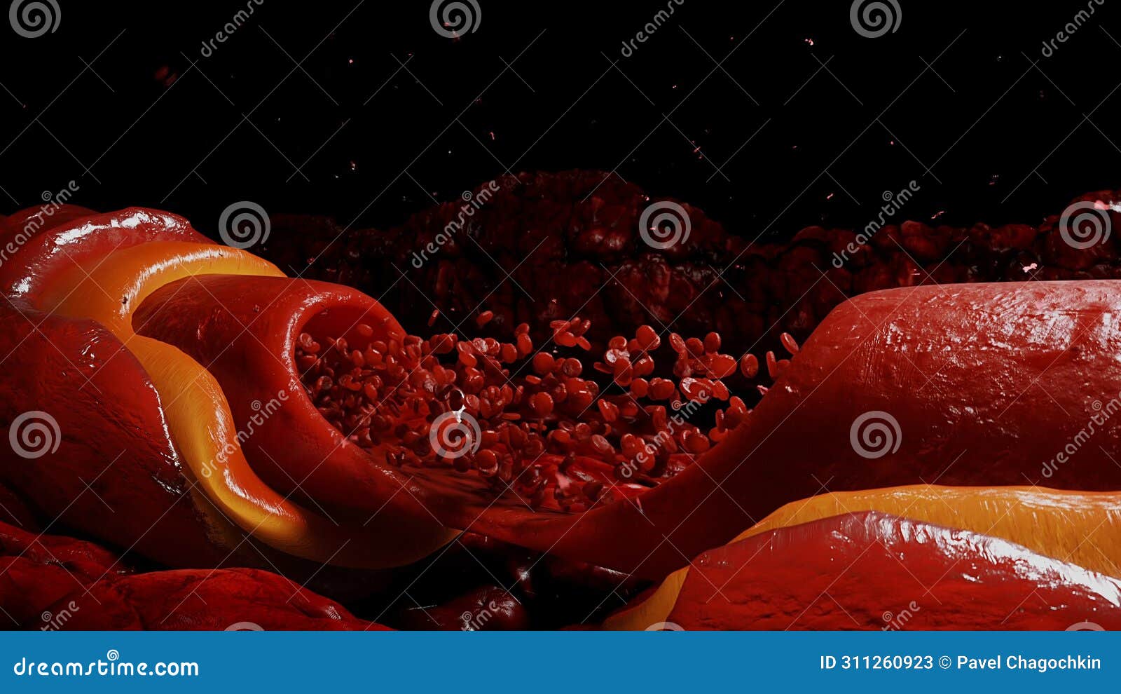Blood Stream. Red Blood Cells. Inside Human Body. 3d Rendering. Stock ...