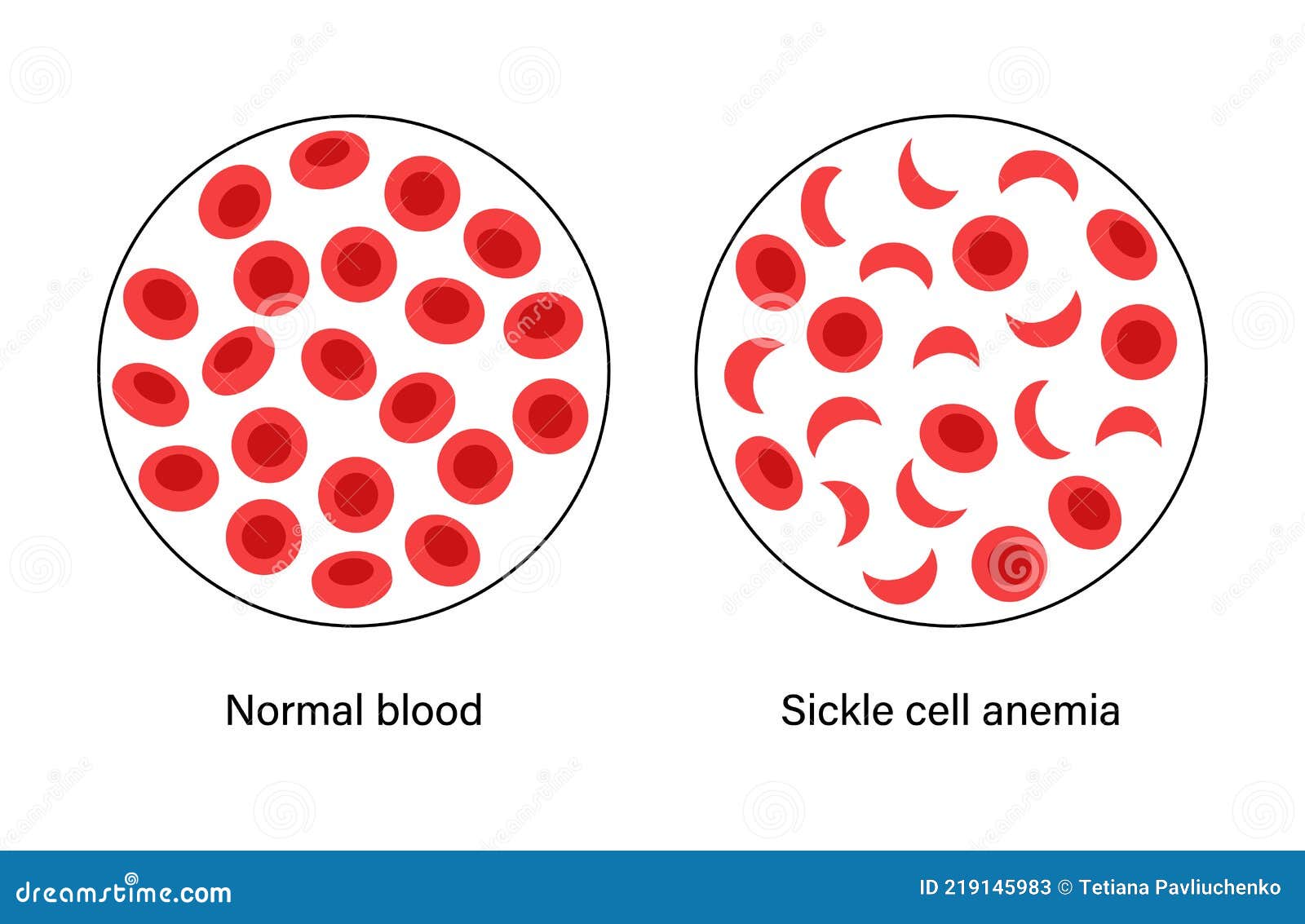 Blood structure concept stock vector. Illustration of composition ...