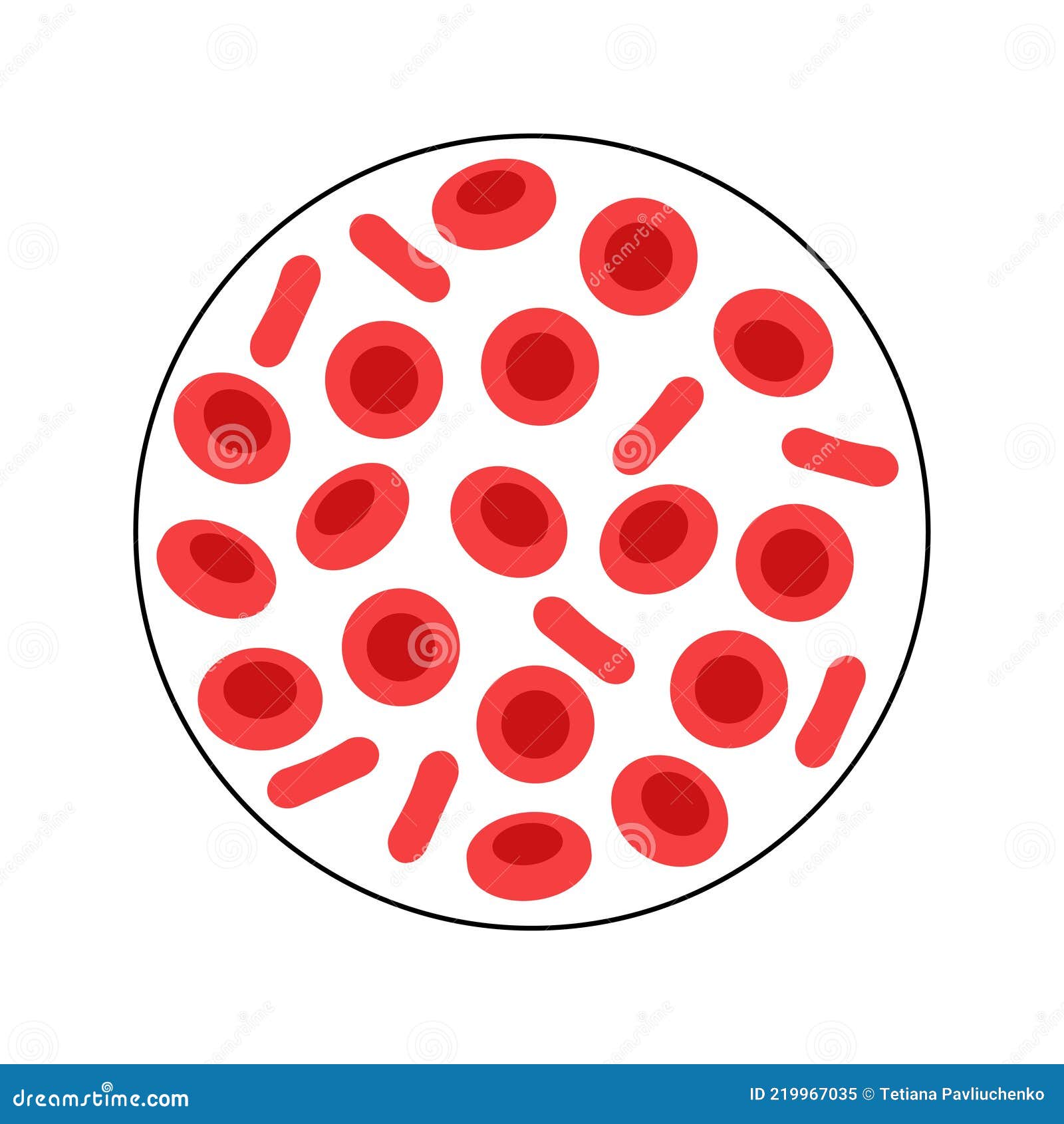 Blood structure concept stock vector. Illustration of diagram - 219967035