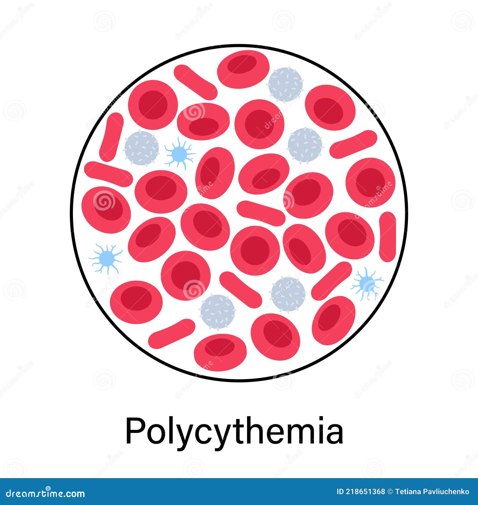 Blood structure concept stock vector. Illustration of system - 218651368