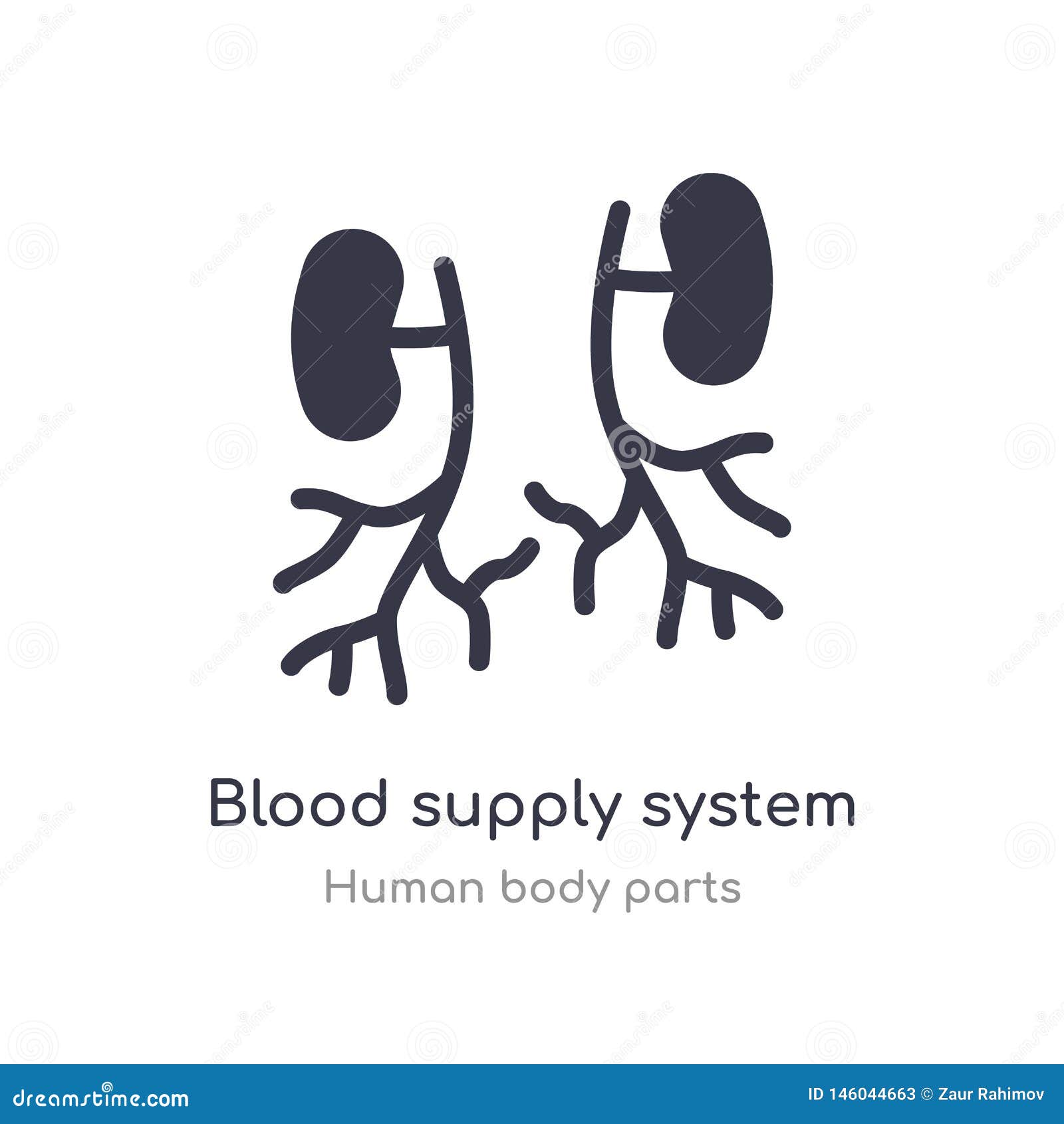 Blood Supply System Outline Icon. Isolated Line Vector Illustration ... Blood Supply System Outline Icon. Isolated Line Vector Illustration ...