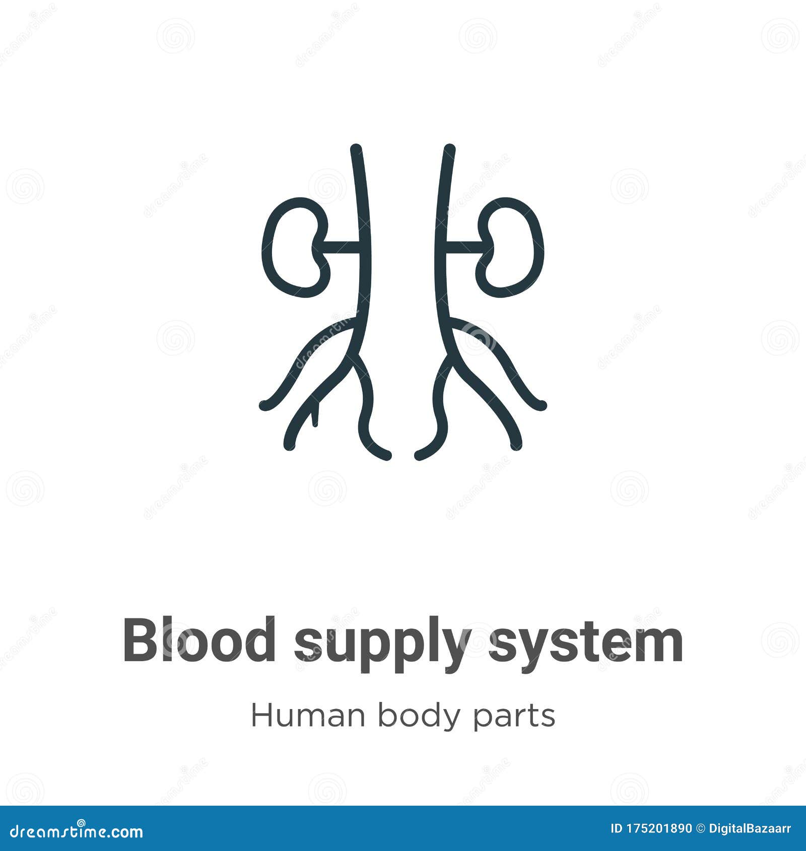 Blood Supply System Outline Vector Icon. Thin Line Black Blood Supply ... Blood Supply System Outline Vector Icon. Thin Line Black Blood Supply ...