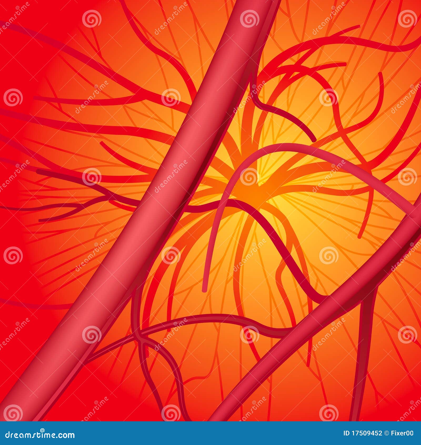 Blood system stock vector. Illustration of system, healthcare - 17509452