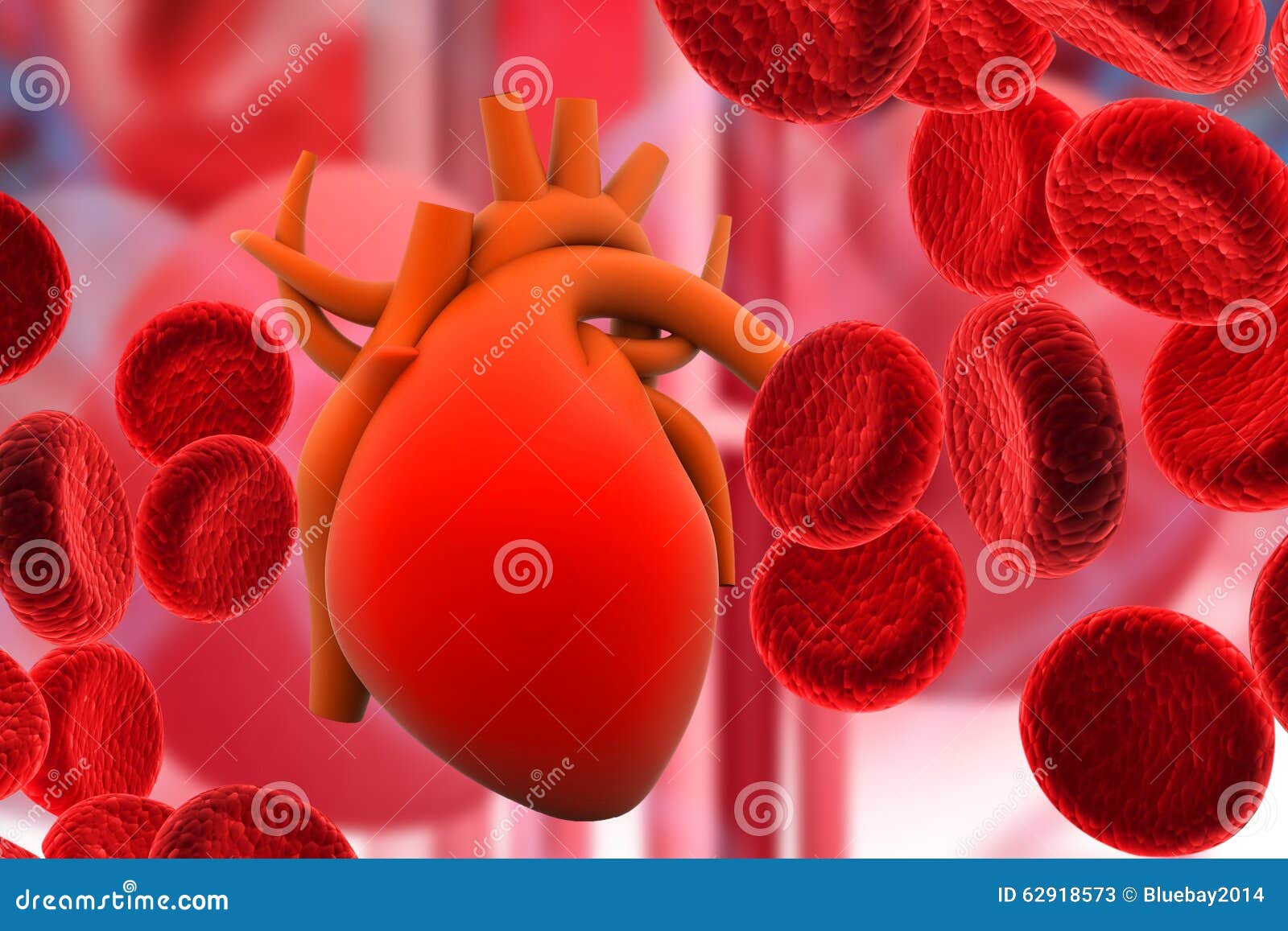 The Blood System Vector Illustration | CartoonDealer.com #105051324