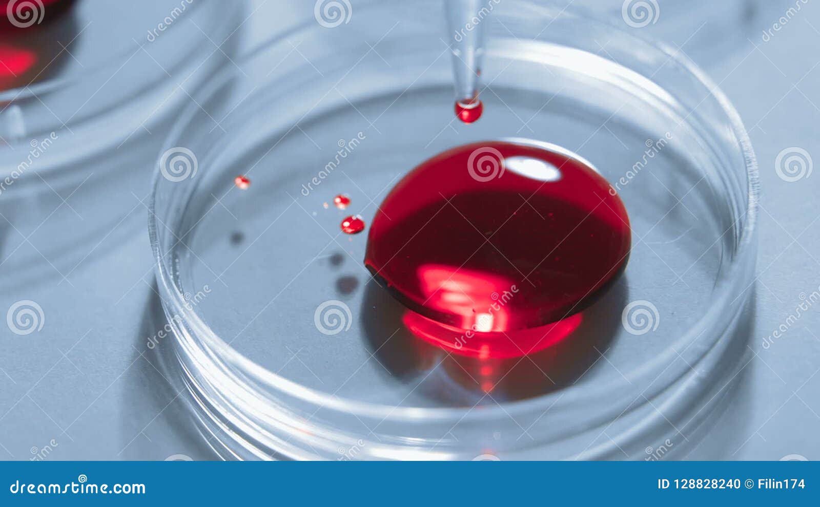 Blood Test. Pipette with Drop of Blood Stock Footage - Video of ...