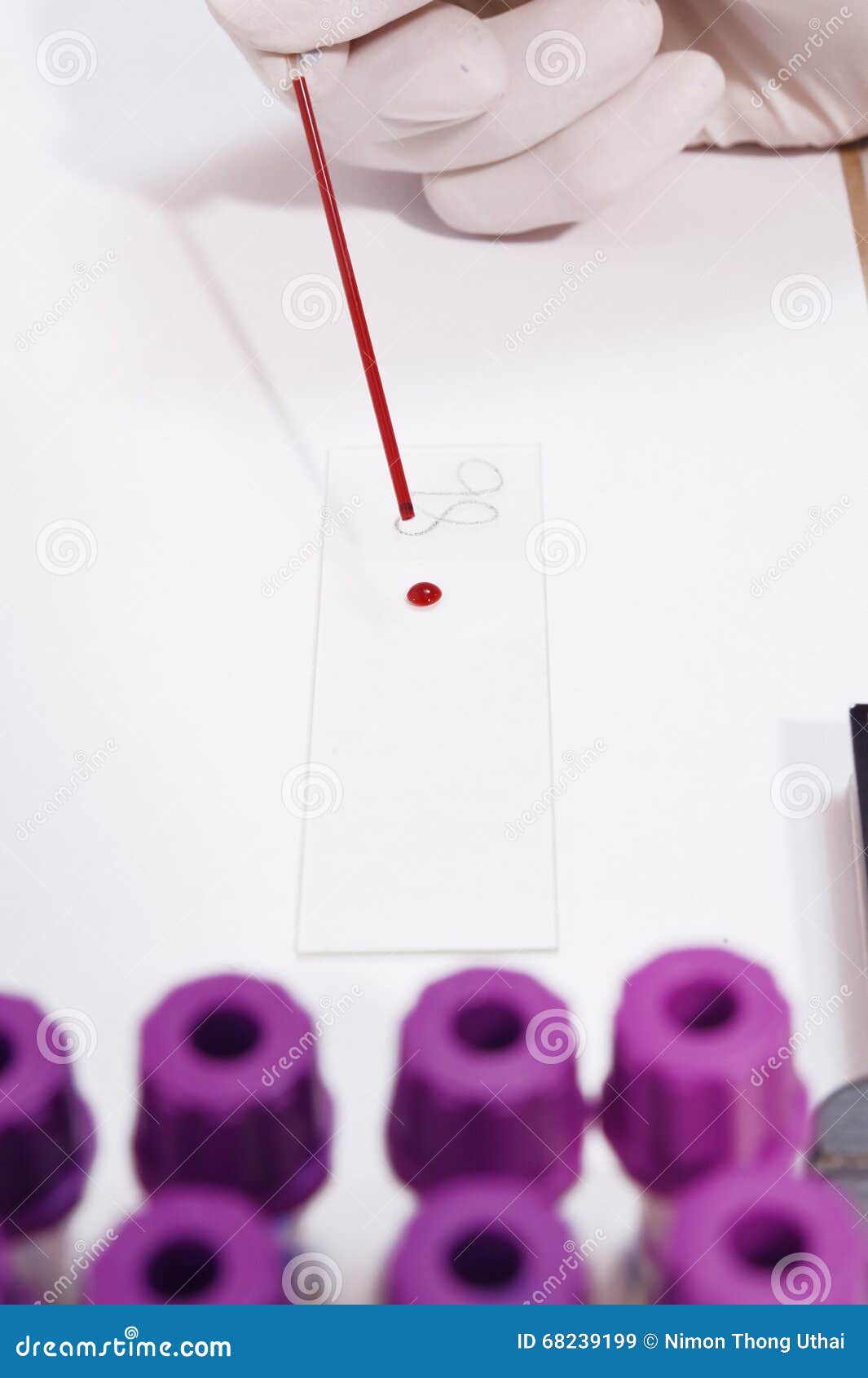 Blood Testing in Laboratory Stock Image - Image of chemist, biologist ...
